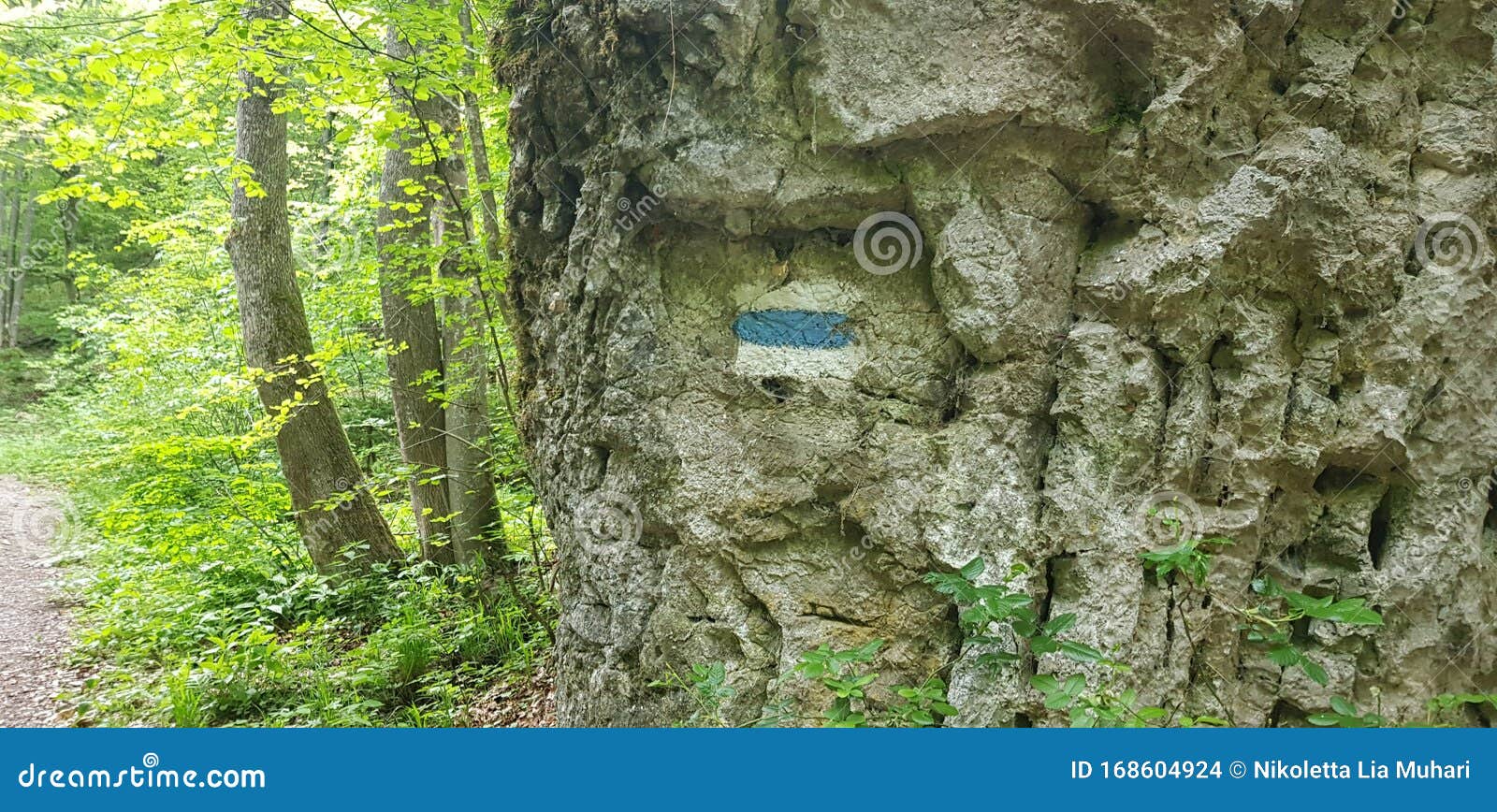 White and Blue Tourist Sign on a Rock Stock Photo - Image of forest ...