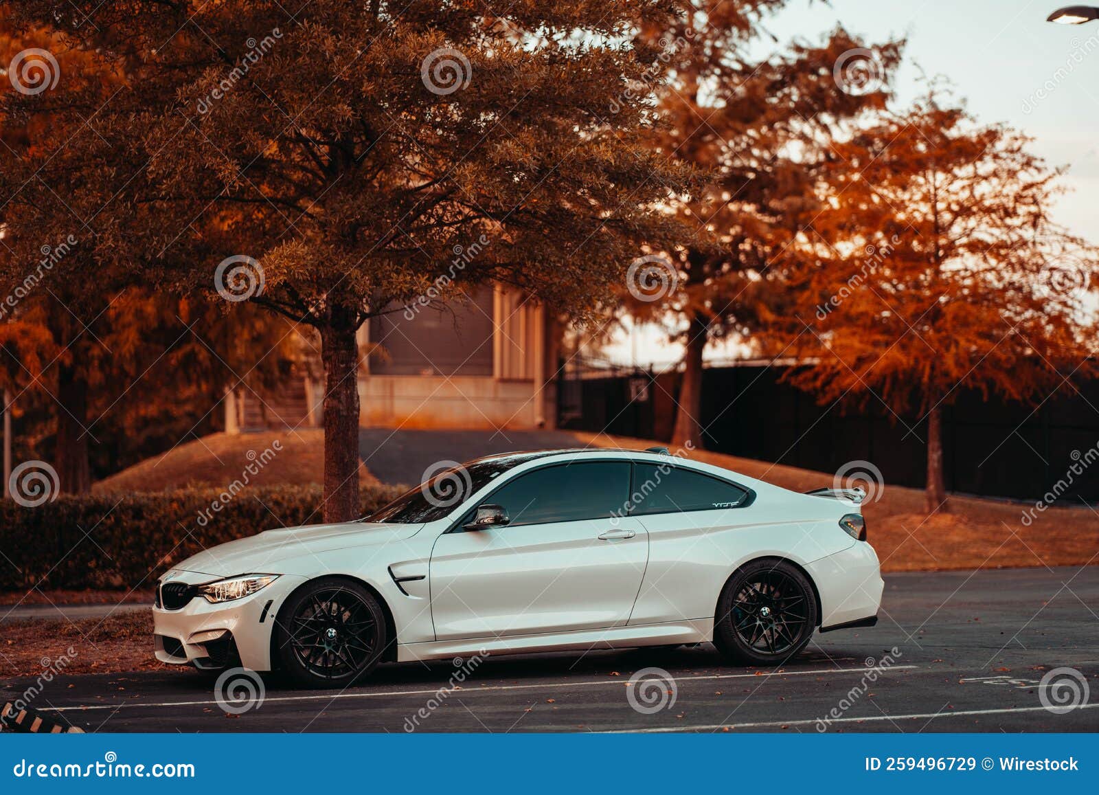 White BMW M4 Parked on a Street with Trees in the Background Editorial ...