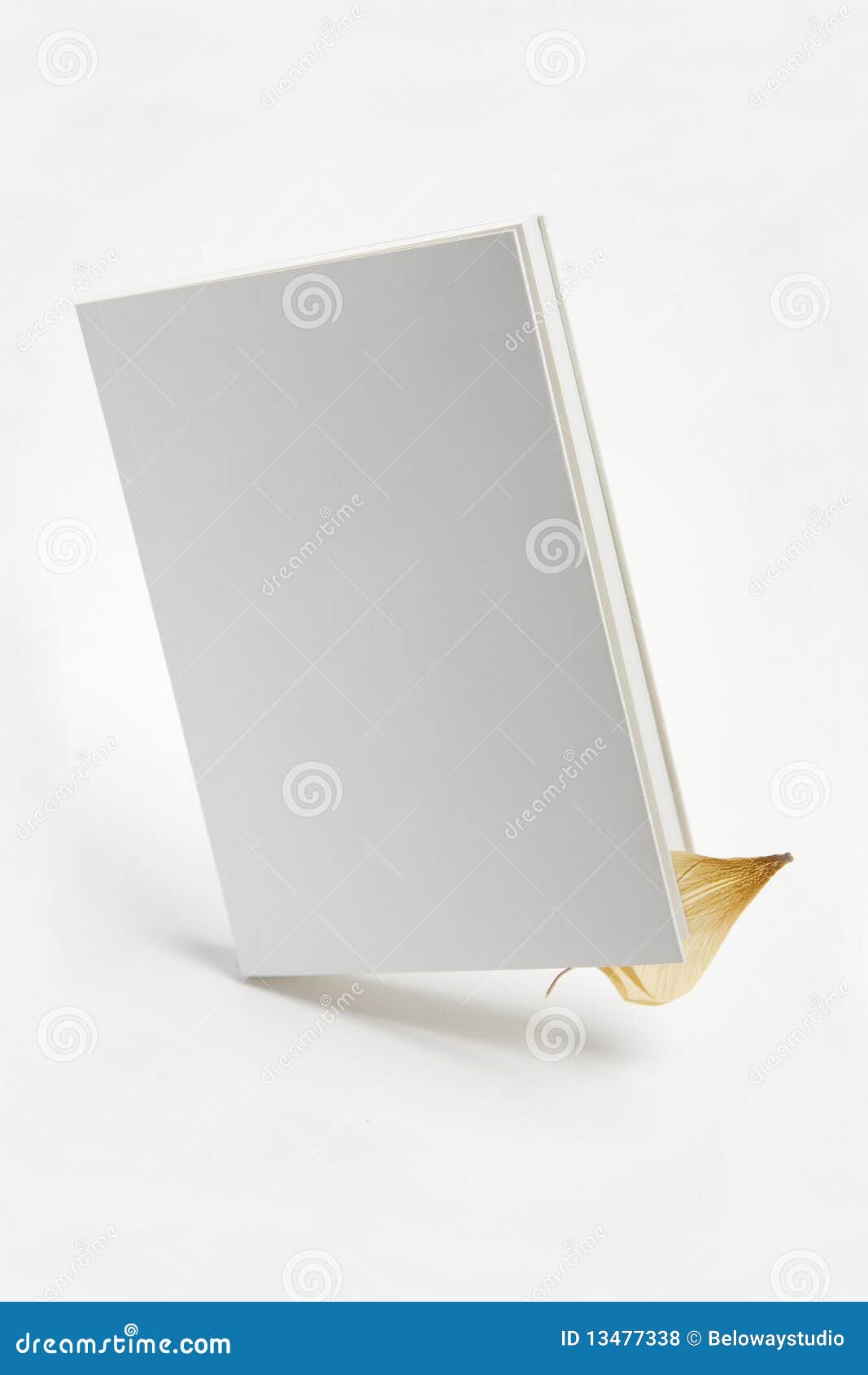 White book stock photo. Image of plan, romance, author - 13477338