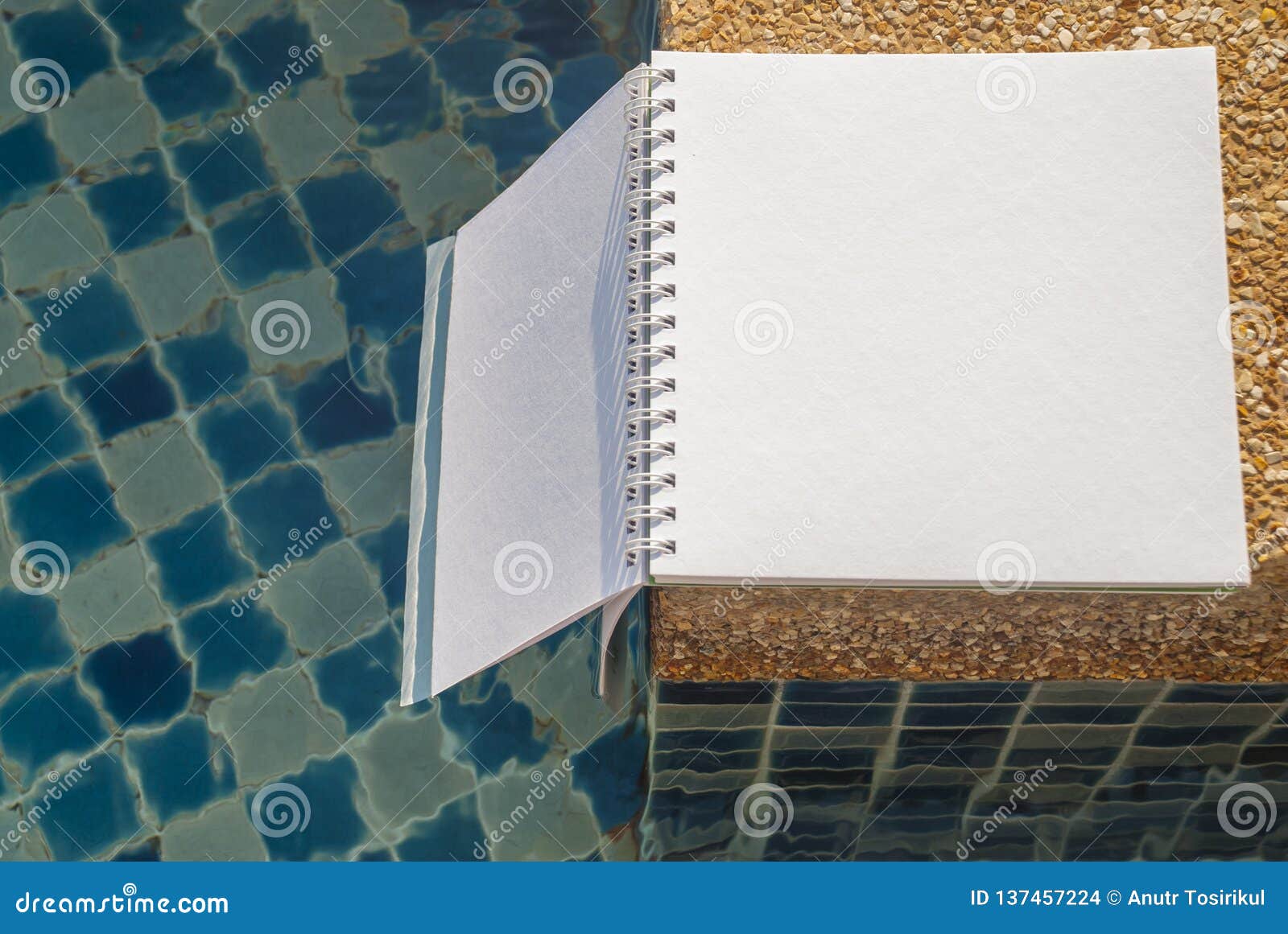 White Book Placed by the Pool Stock Photo - Image of notebook, relax ...