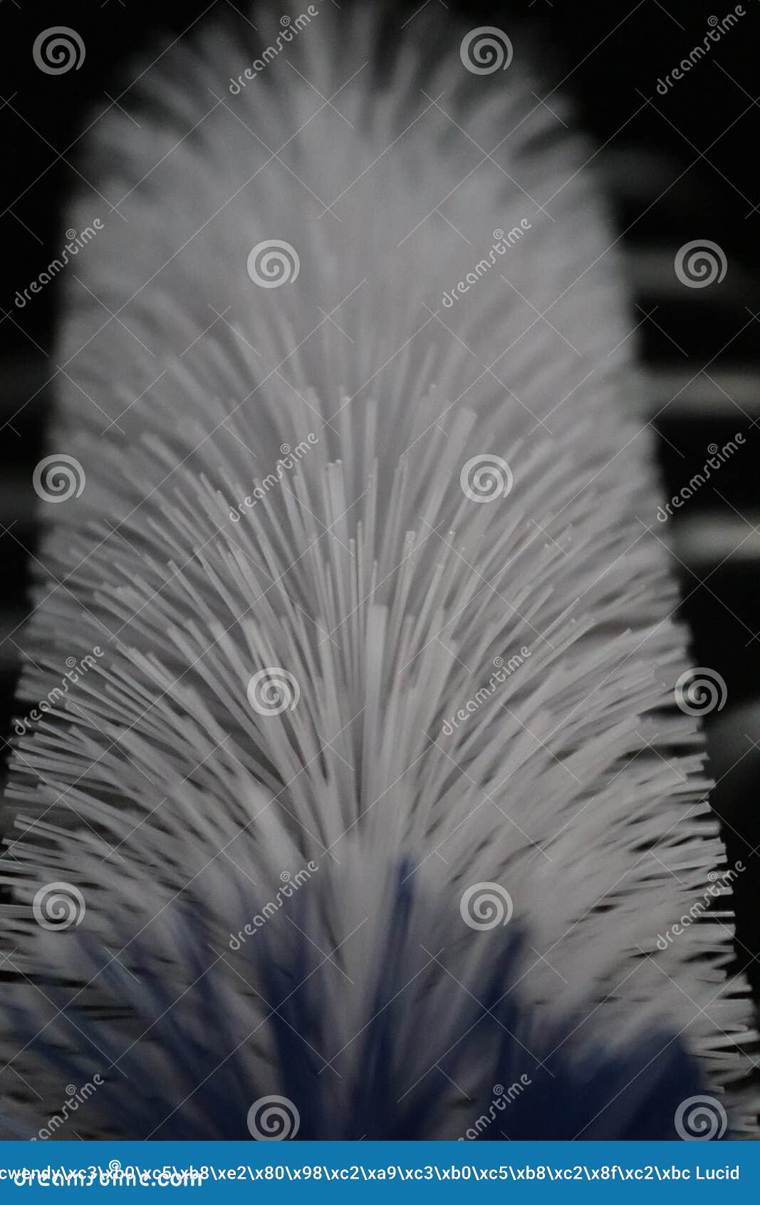 Abstract white brushes stock photo. Image of brush, colours - 131603224