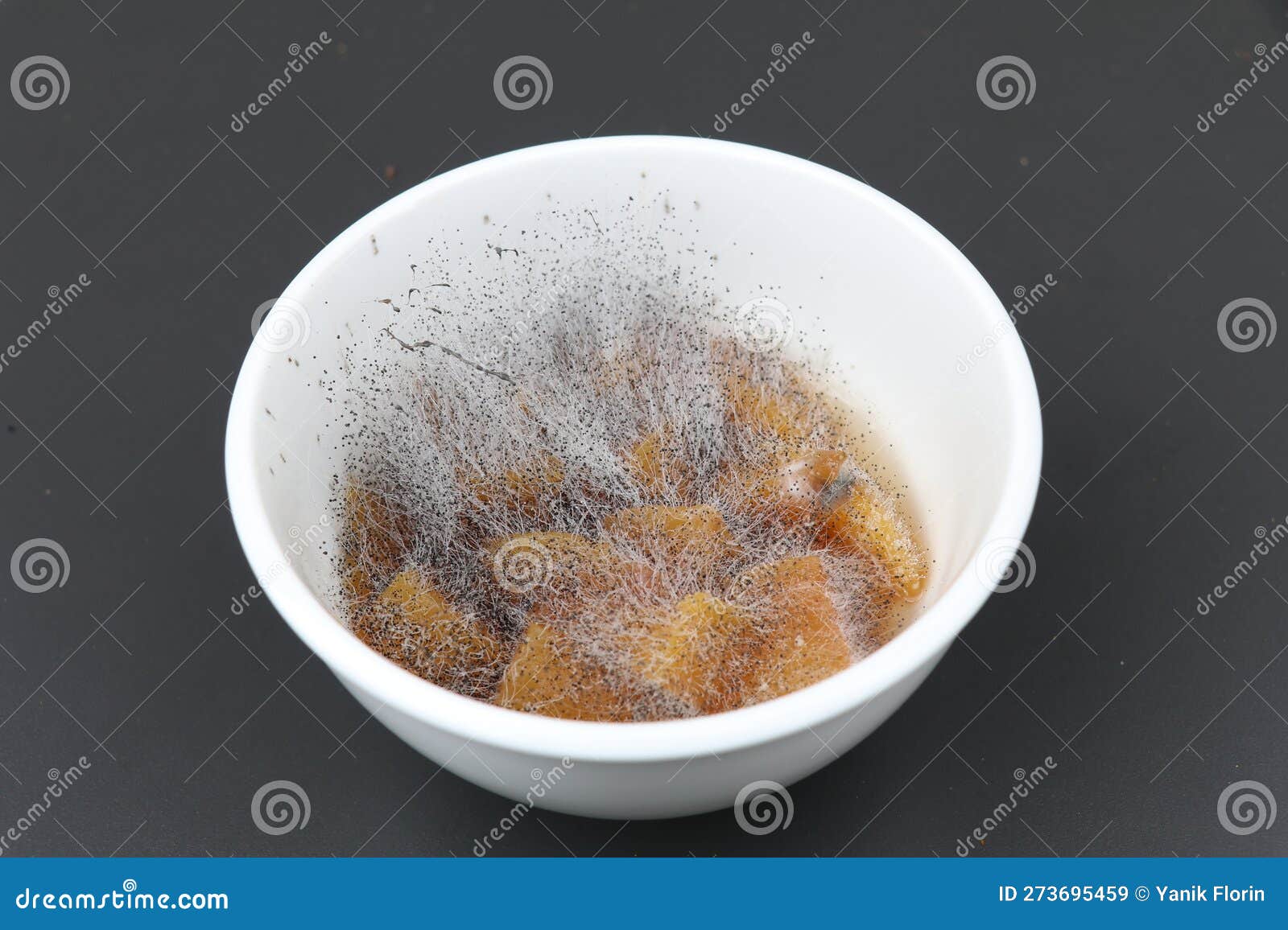 White Bowl of Spoiled Mango Covered with Mold Stock Image - Image of ...