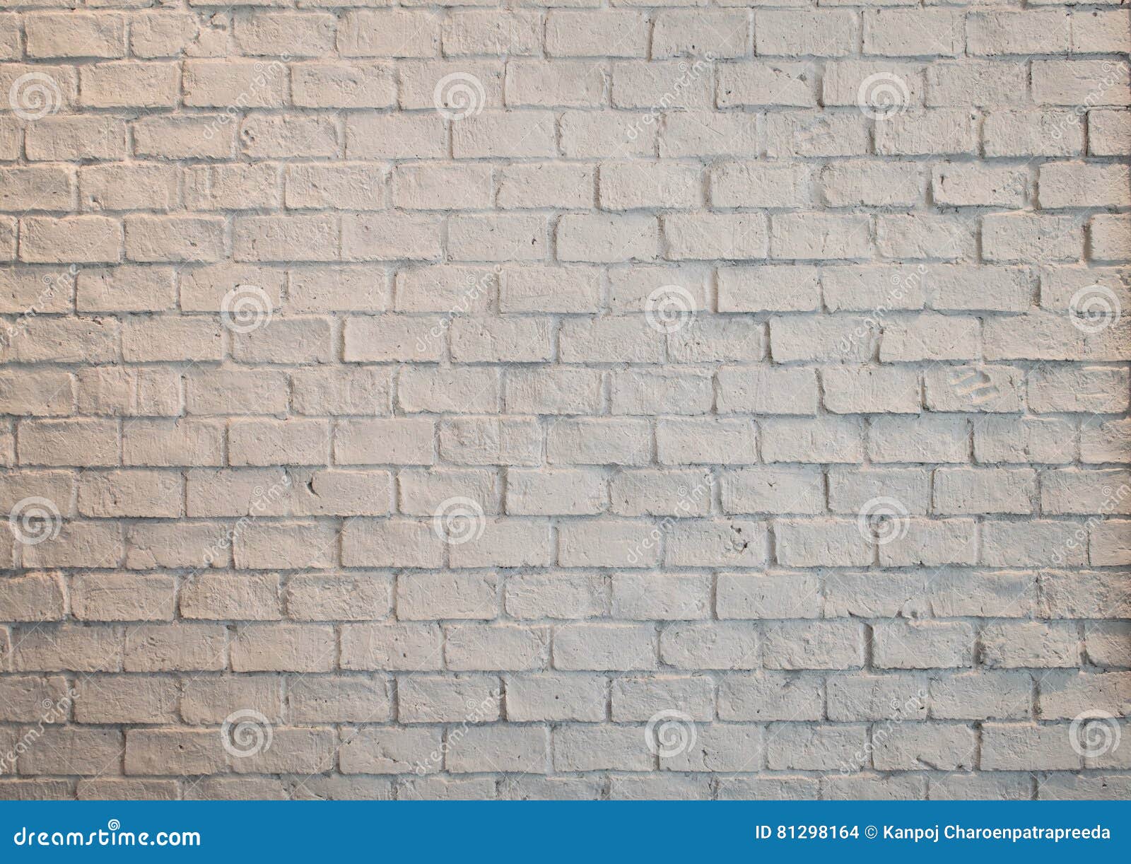 White Brick Wall,Art Design Stock Photo - Image of betel, flora: 81298164