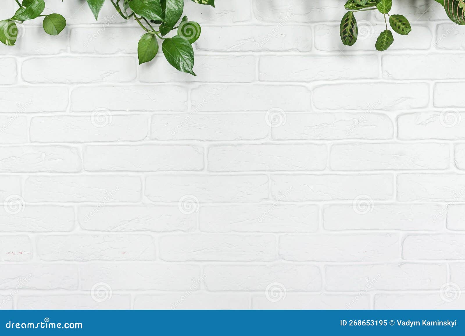 A White Brick Wall with Greenery Around the Edges Stock Image - Image ...