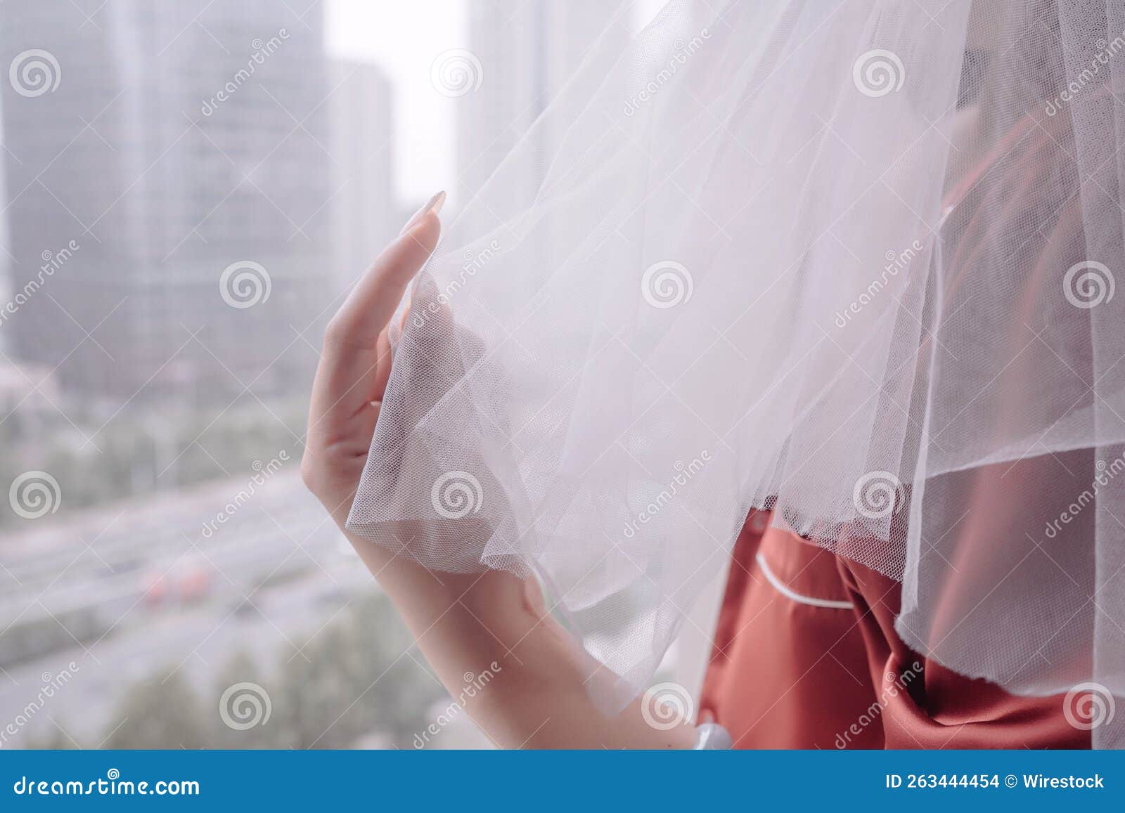 White Bridal Veil on a Woman Standing at the Window Stock Photo - Image ...