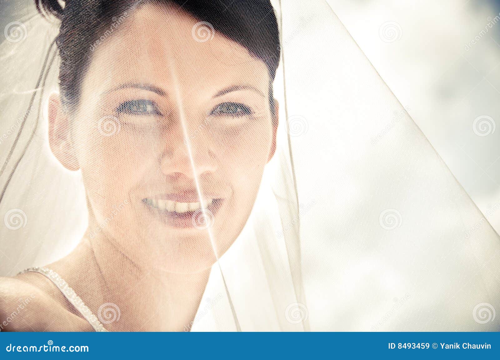 White Bride stock image. Image of beautiful, white, bride - 8493459