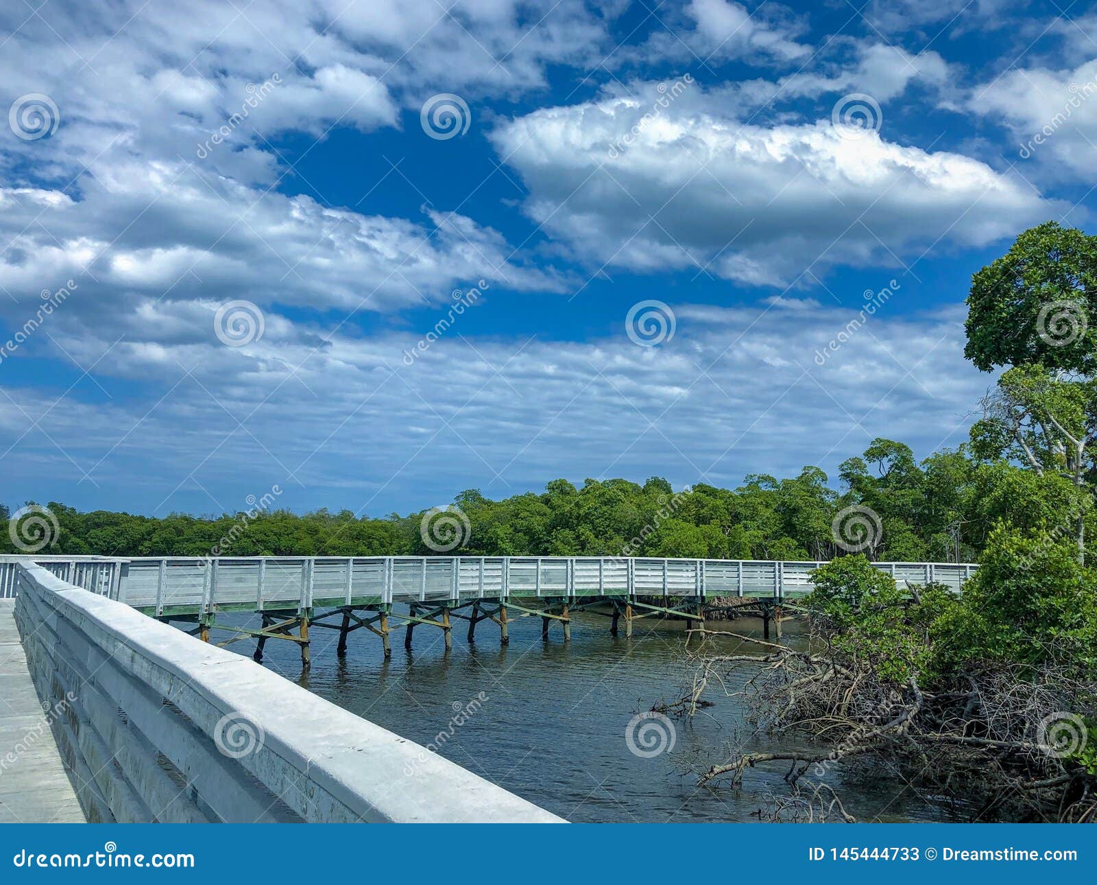 White bridge over the lake stock image. Image of tree - 145444733
