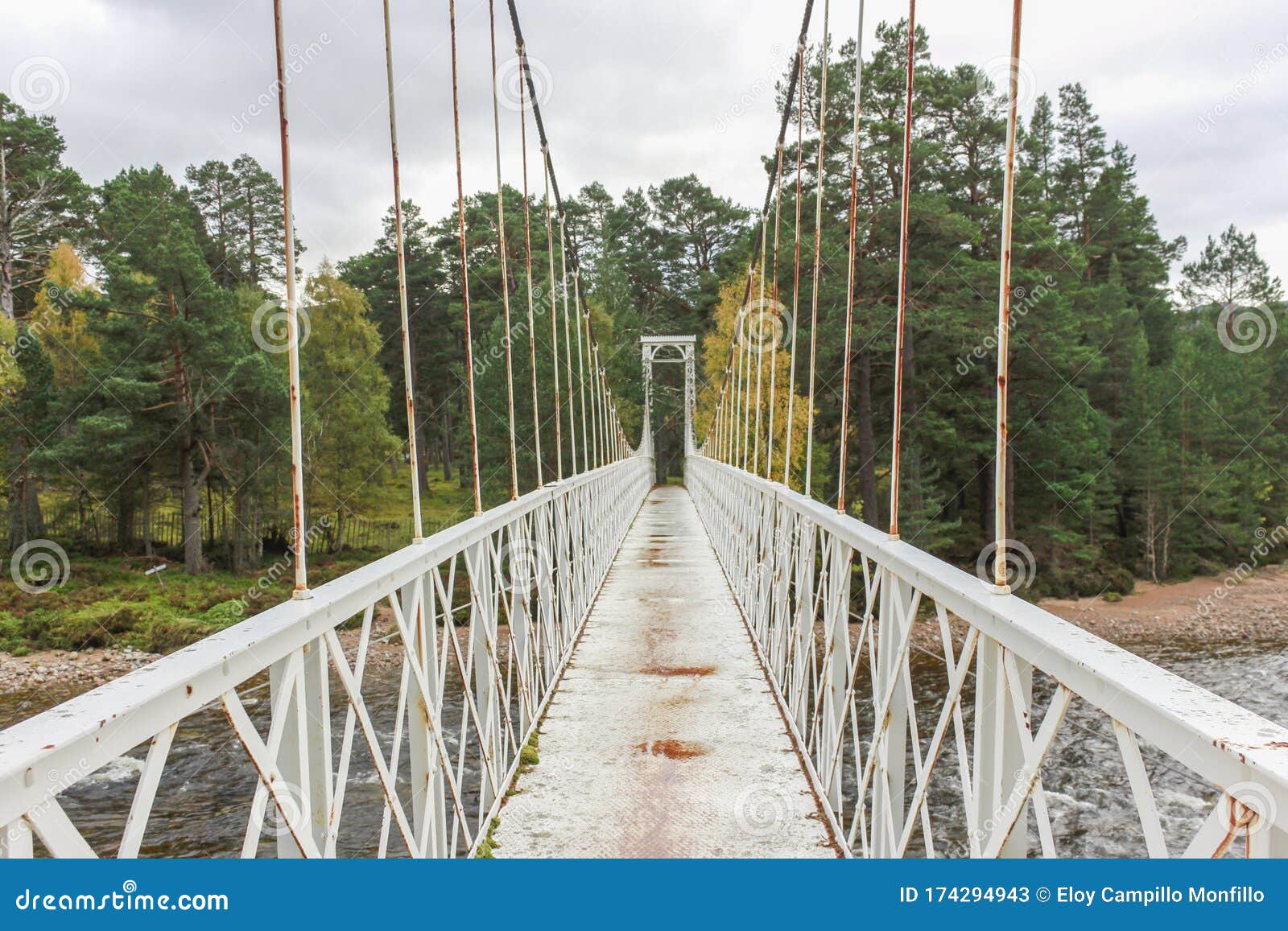 White Bridge Over the River Stock Image - Image of beautiful, park ...