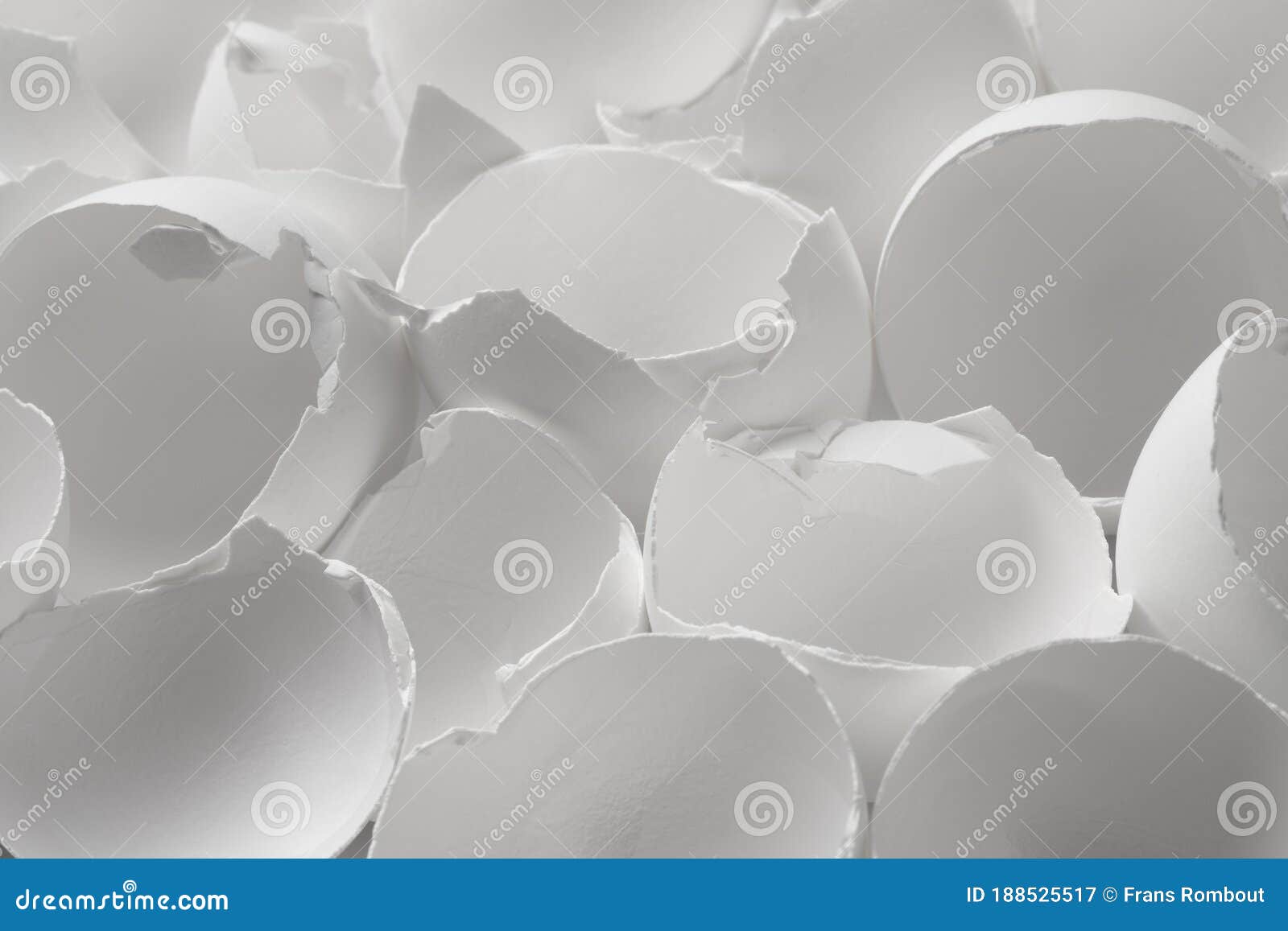 White Broken Egg Shells Close Up Stock Image - Image of close, garbage ...