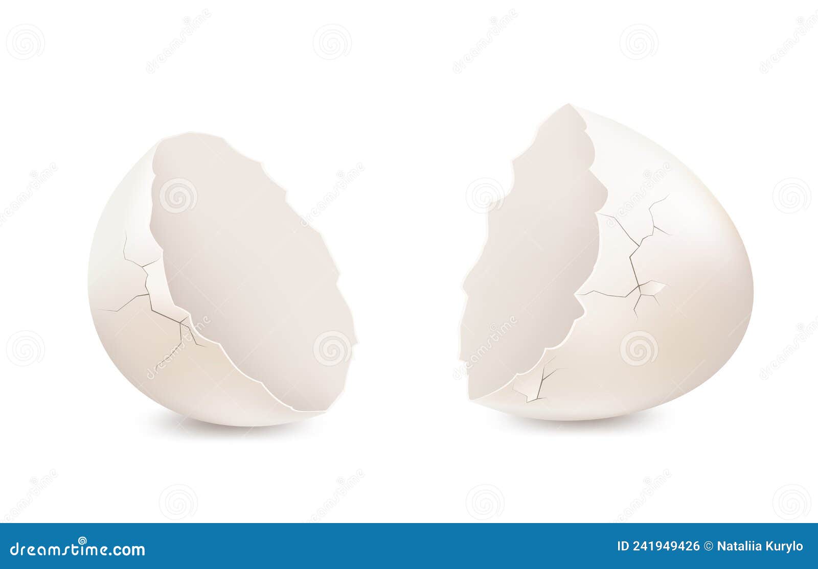White Broken Egg on White Background, Eggshell. Stock Vector ...