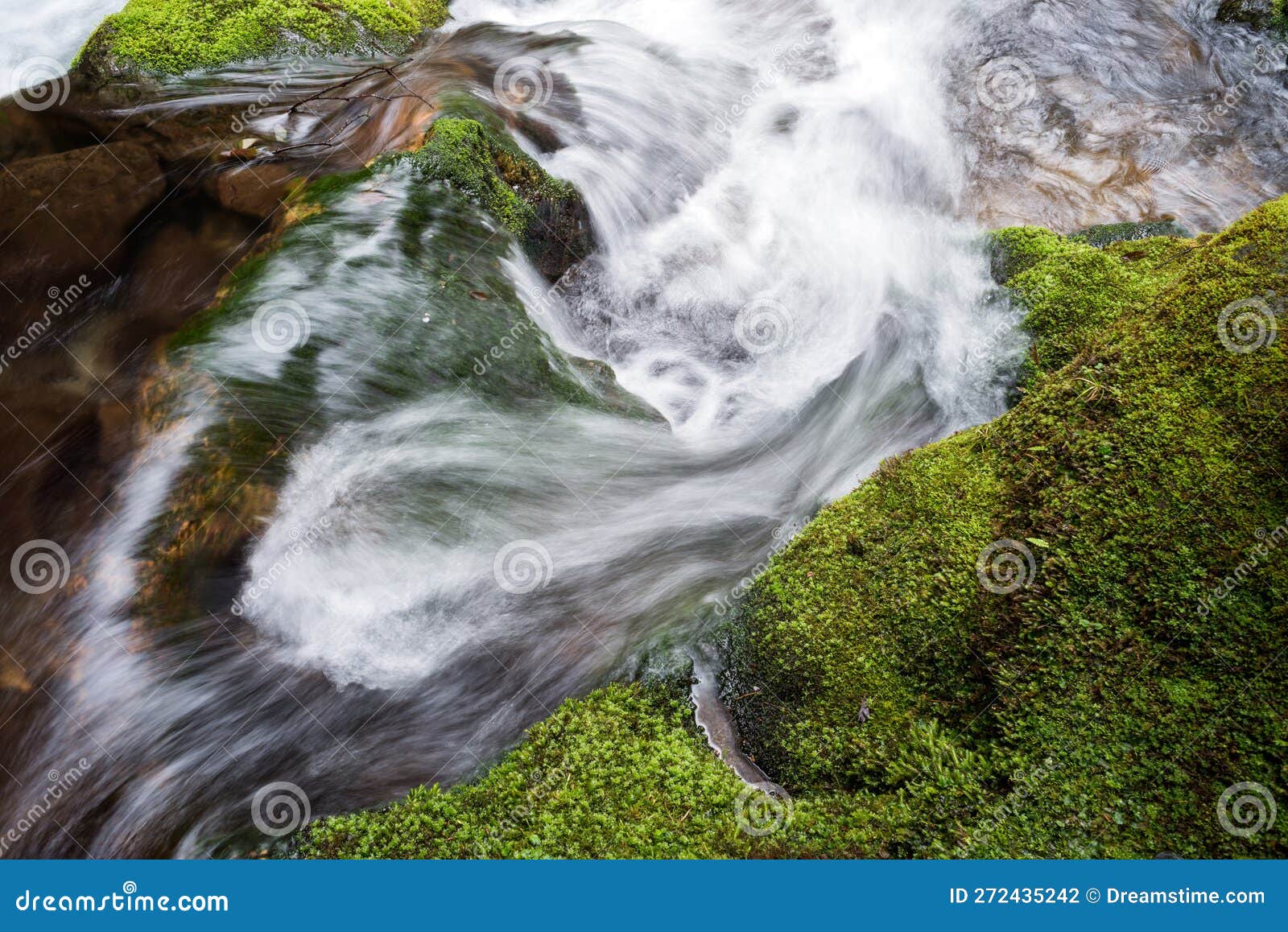White brook beside moss stock photo. Image of water - 272435242