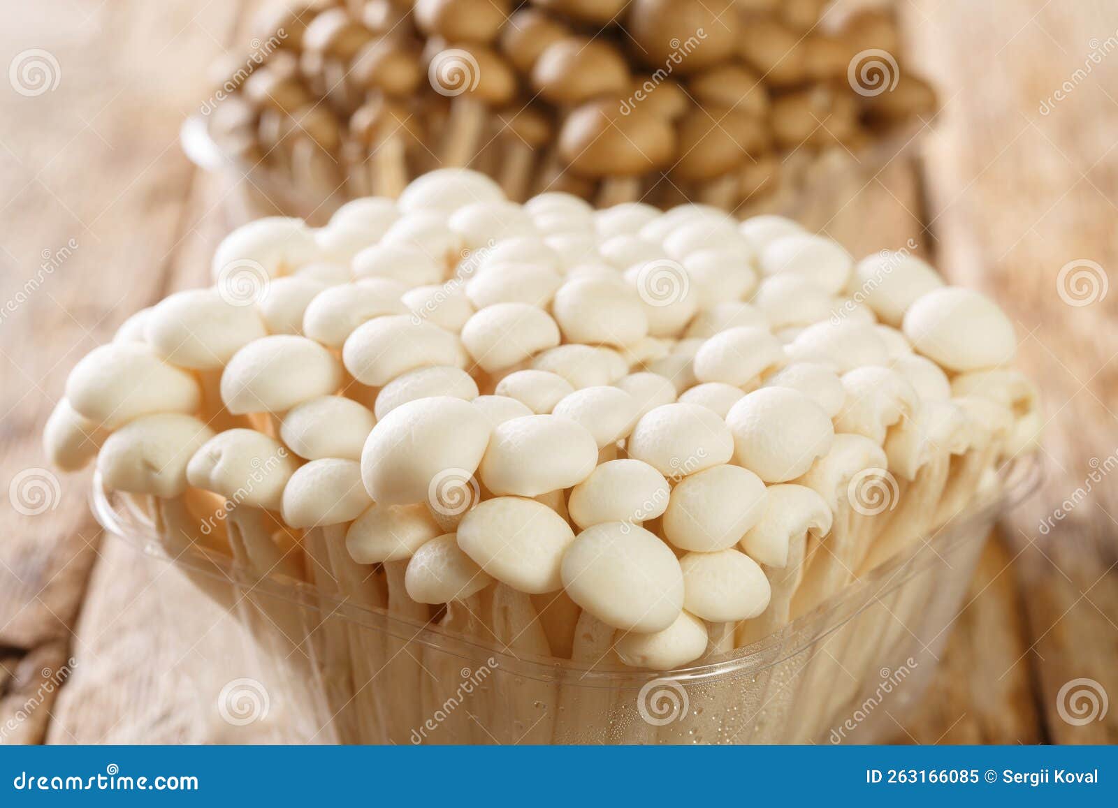 Hon-shimeji Or Buna Shimeji Mushroom Isolated White Background Royalty ...