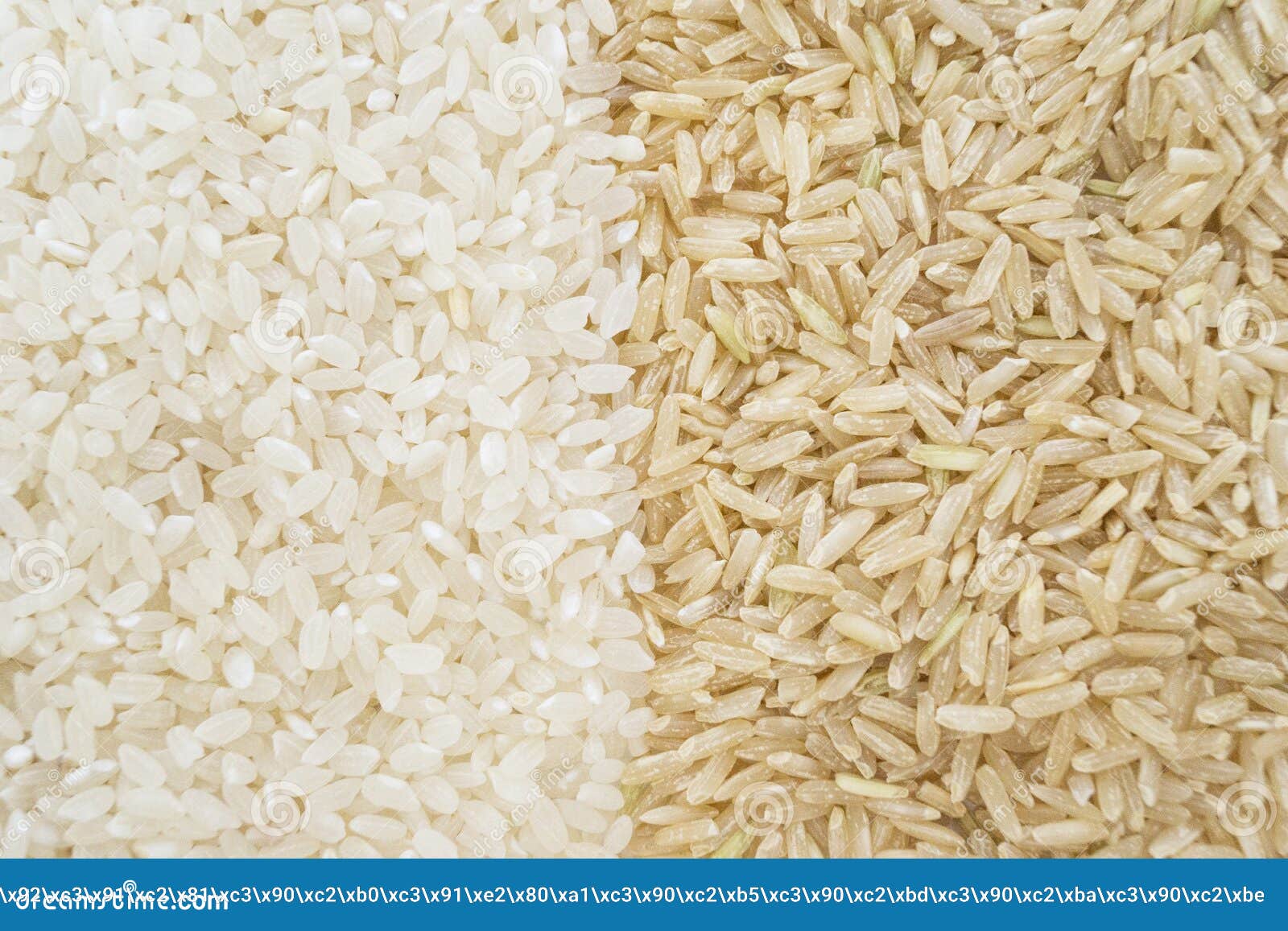 White and brown rice stock photo. Image of eating, brown - 42321152
