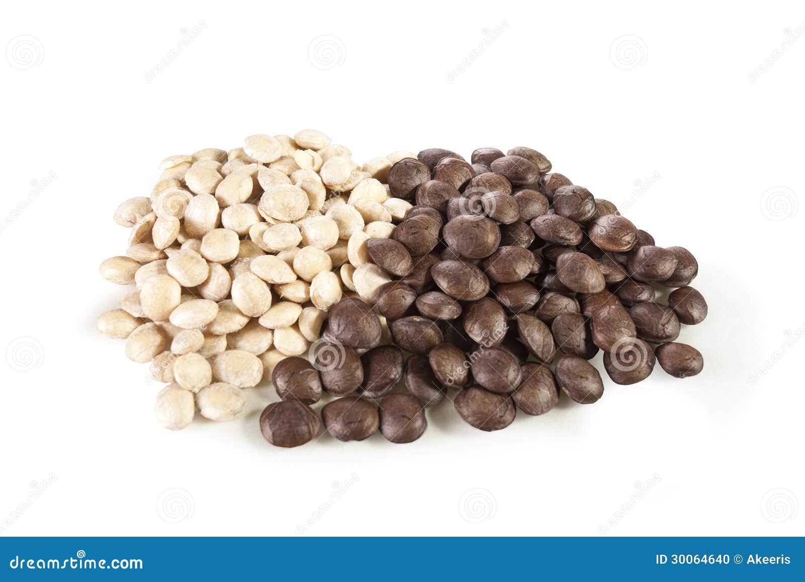 Sacha Inchi, Sacha Mani Or Star Inca Peanut Seed On White Background ...