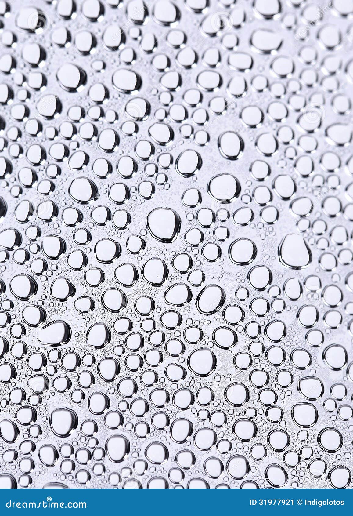 White bubbles background. stock image. Image of texture - 31977921