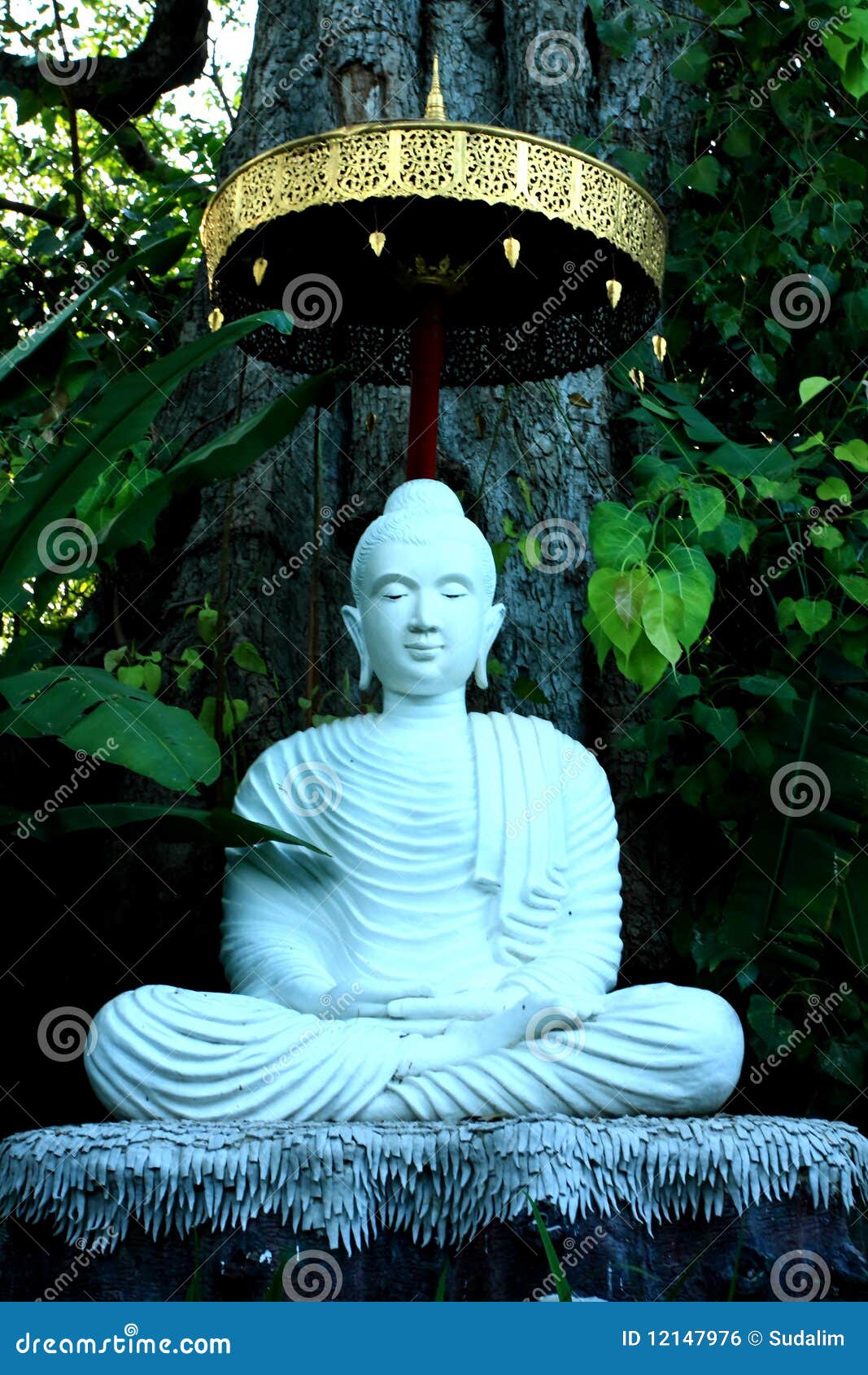 White buddha stock photo. Image of china, background - 12147976