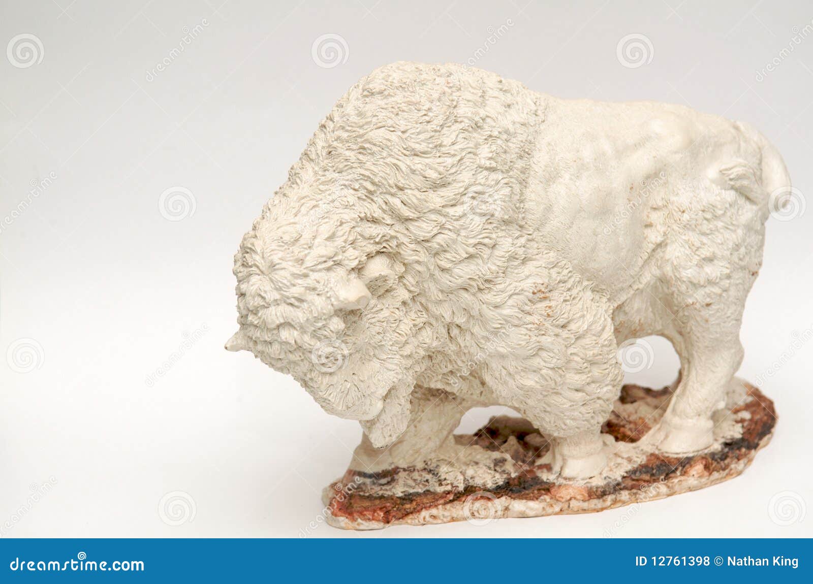 White Buffalo stock photo. Image of history, legendary - 12761398