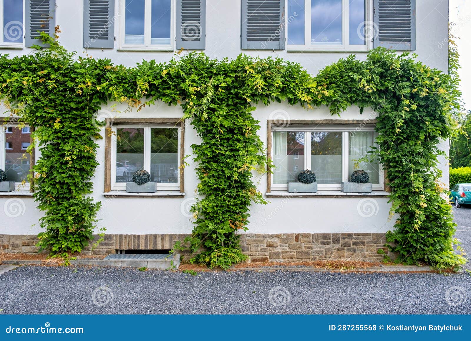 White Building Covered in Vines and Windows Stock Photo - Image of ...
