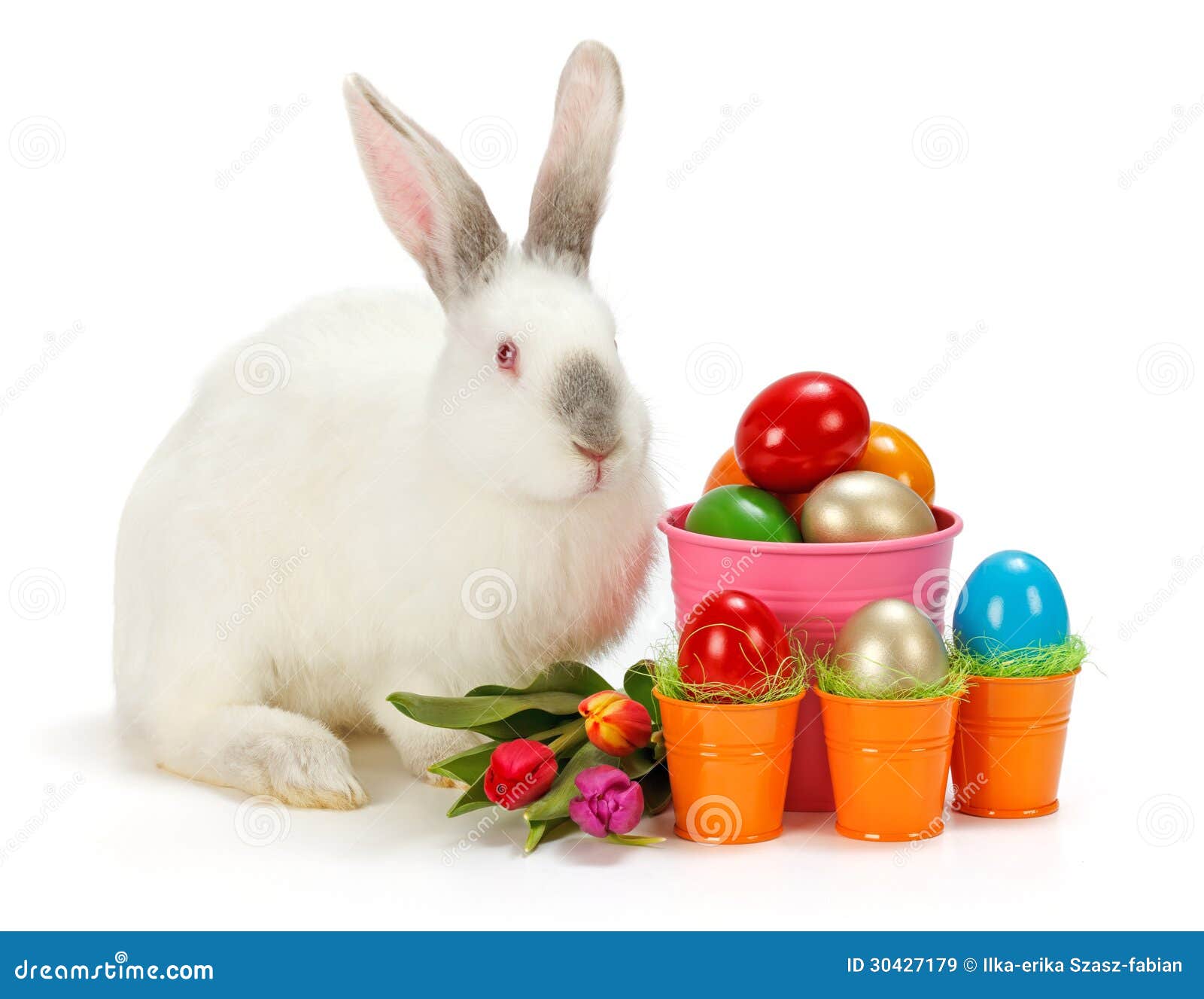 White Bunny with Easter Eggs Stock Image - Image of animal, bucket ...