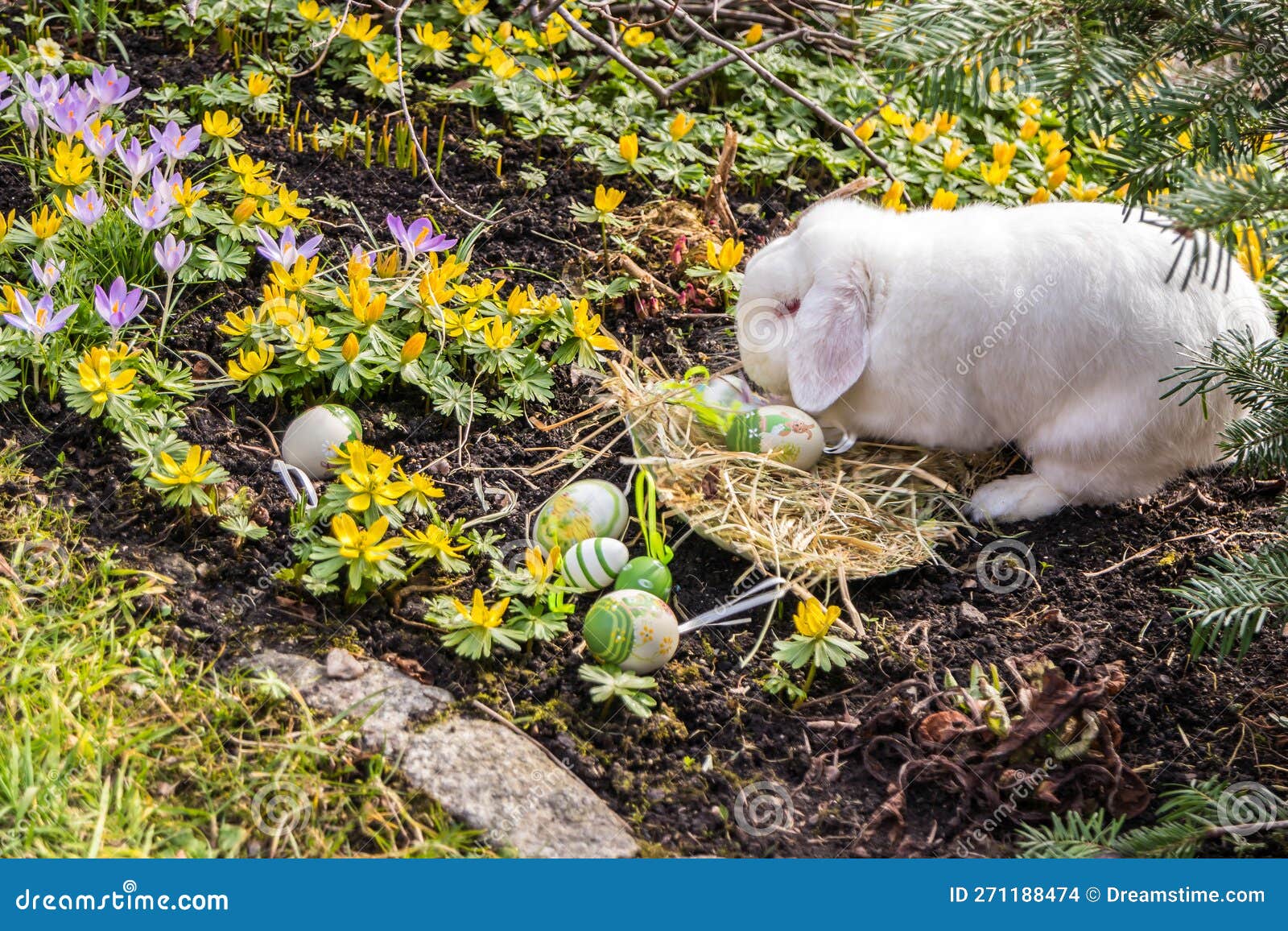 White Bunny with Easter in the Garden 01 Stock Photo - Image of basket ...