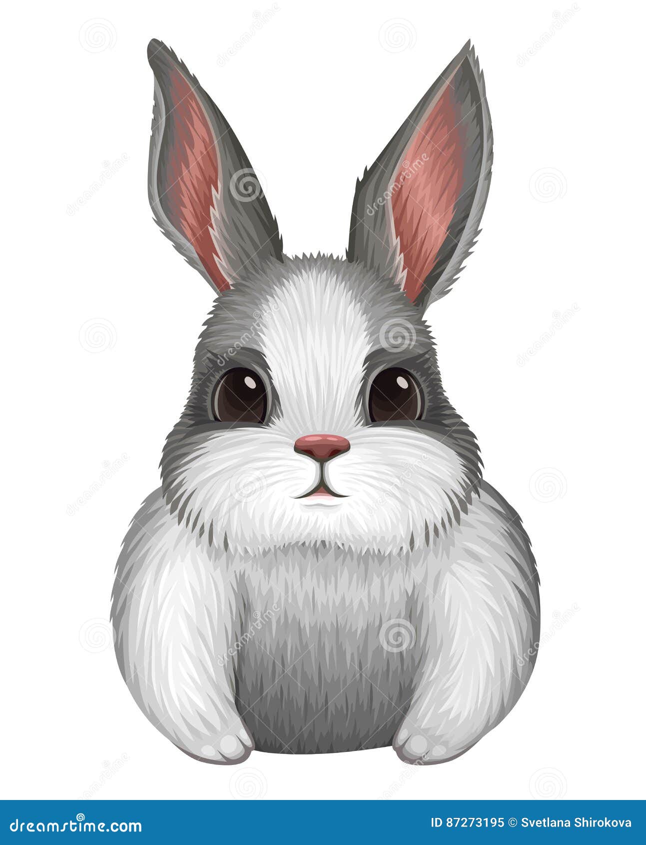 White Bunny Isolated on White Stock Vector - Illustration of background ...