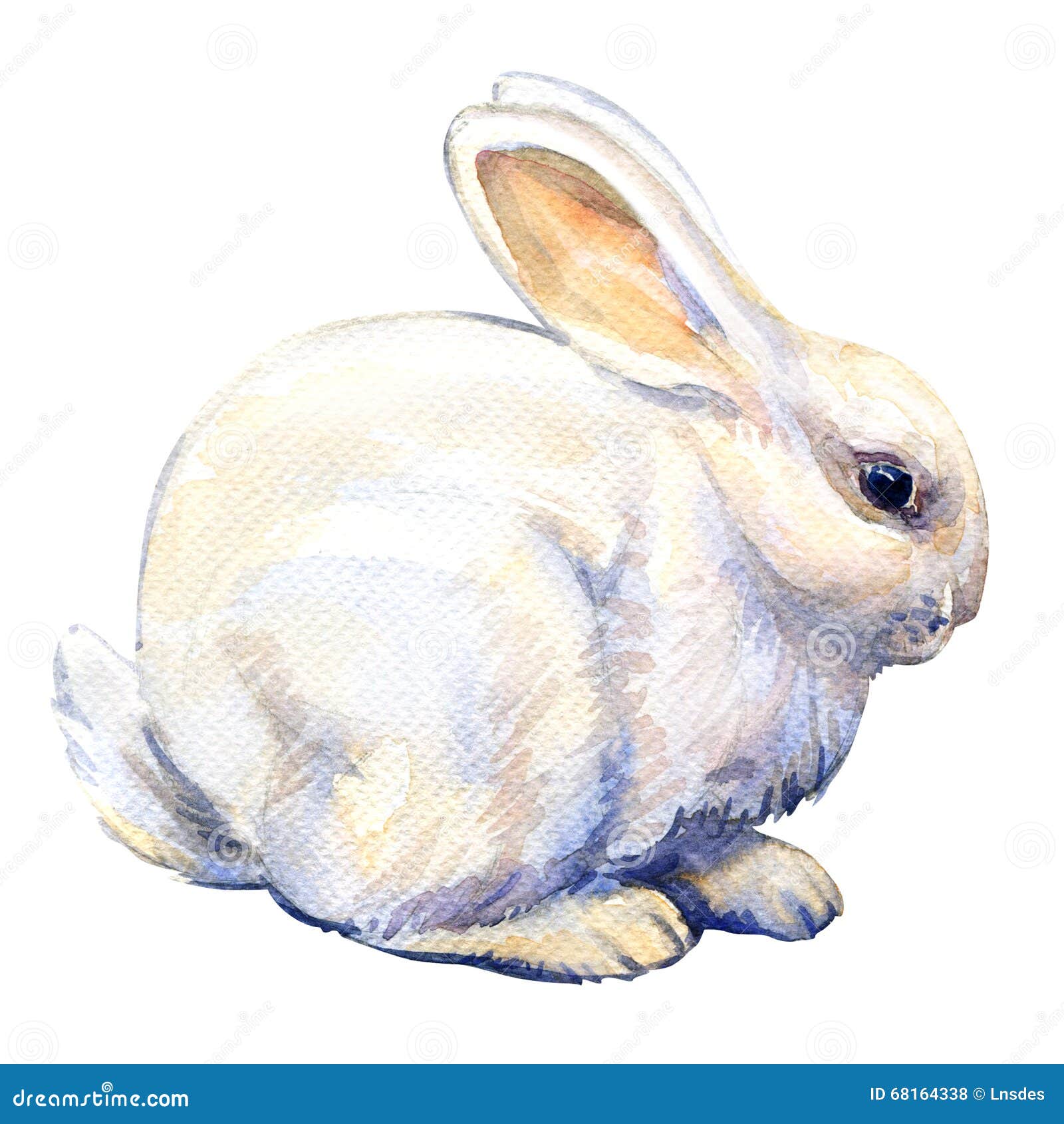 White Bunny Rabbit Isolated, Watercolor Illustration Stock Illustration ...