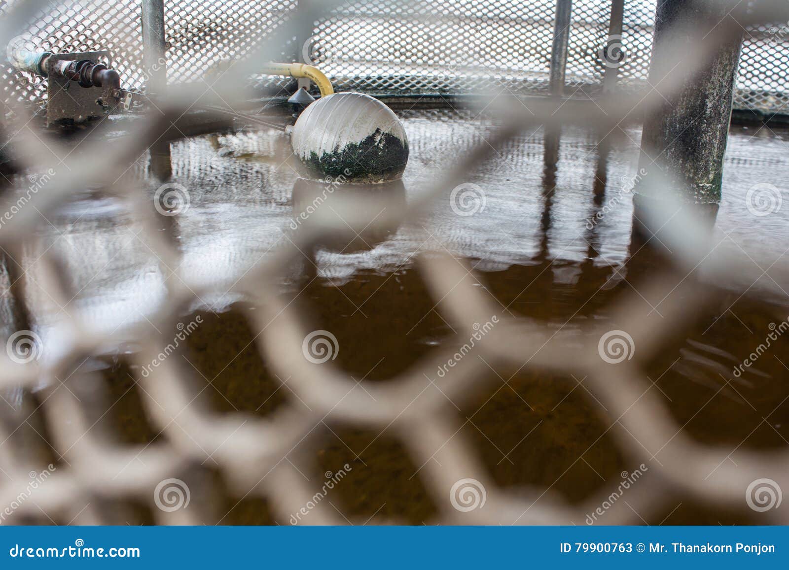 White Buoys in the Chiller. Background Stock Image - Image of lifeguard ...