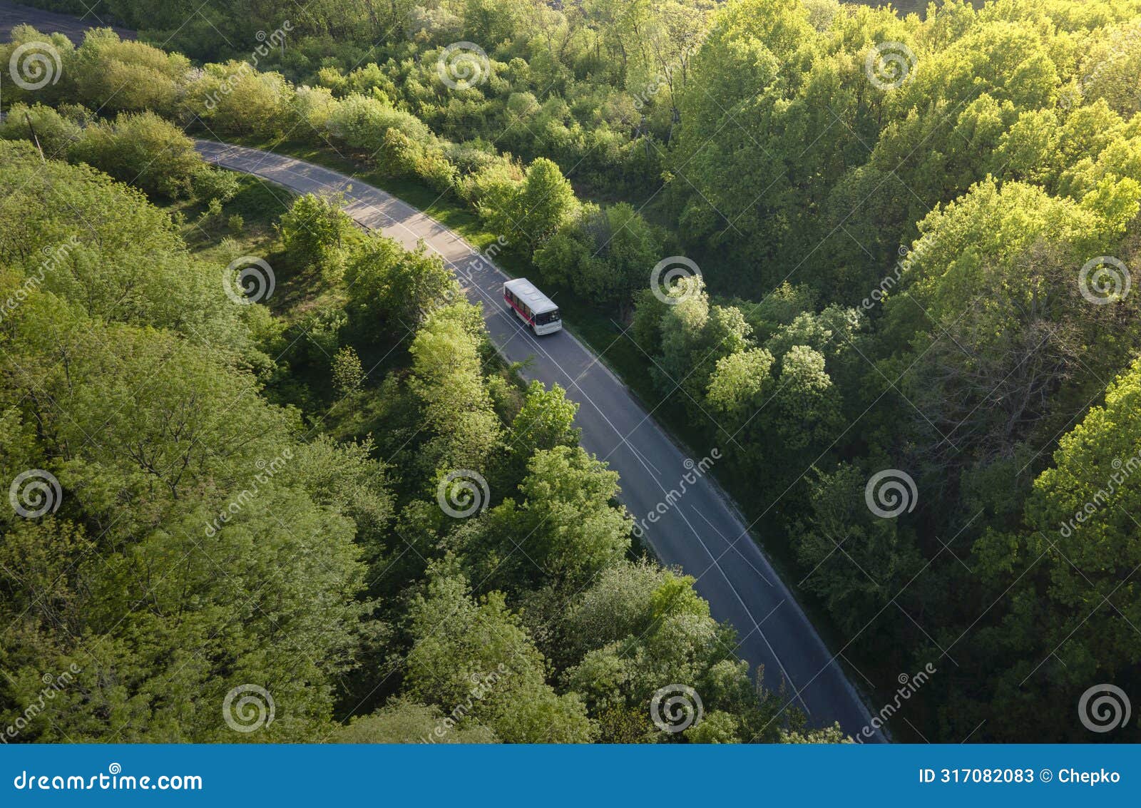 White Bus on Road in Beautiful Summer Forest Aerial Stock Image - Image ...