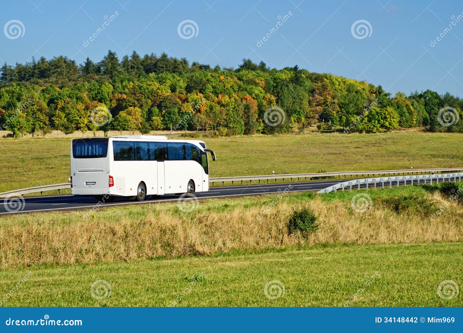 White Bus on the Road in the Countryside Stock Photo - Image of ...