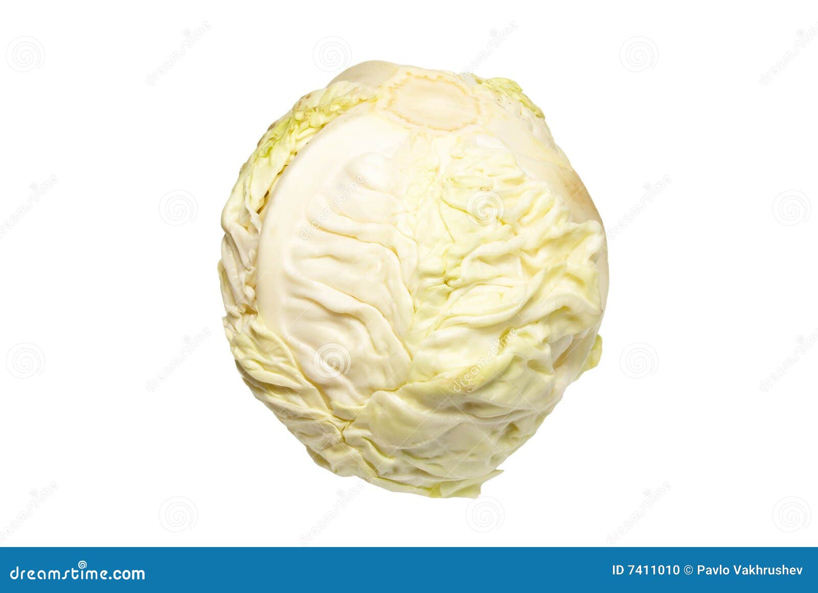 White cabbage stock photo. Image of garden, health, food - 7411010