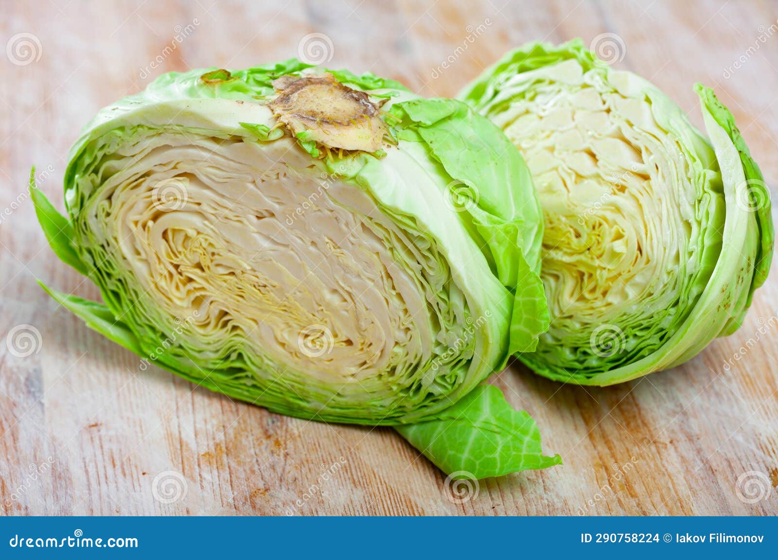White cabbage cut in half stock photo. Image of lunch - 290758224