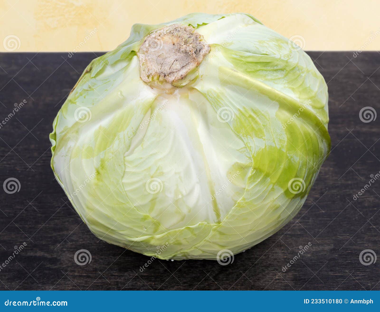 White Cabbage Head with Cabbage Stalk Up, on Dark Surface Stock Photo ...