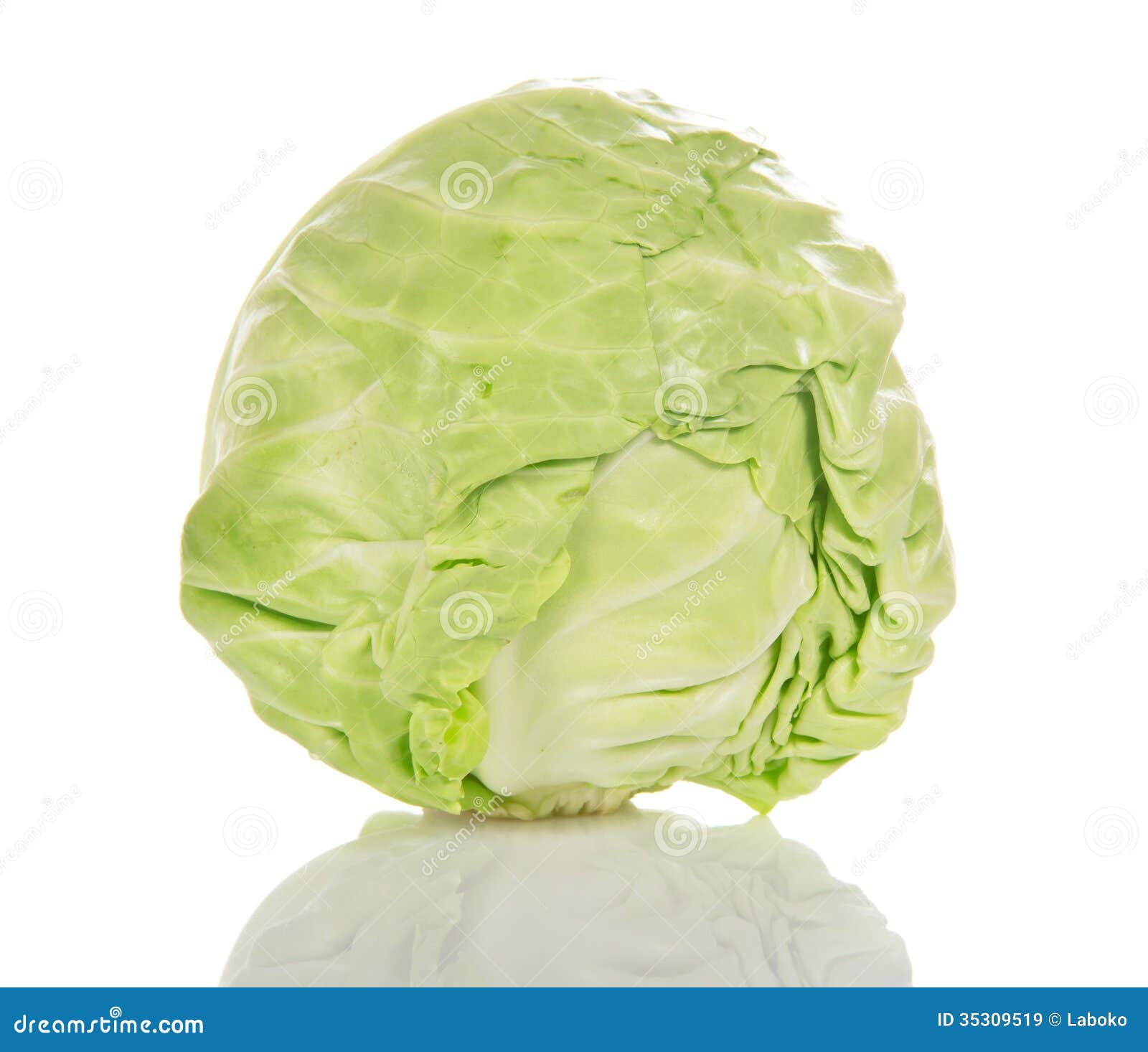 White cabbage stock image. Image of kitchen, cabbage - 35309519