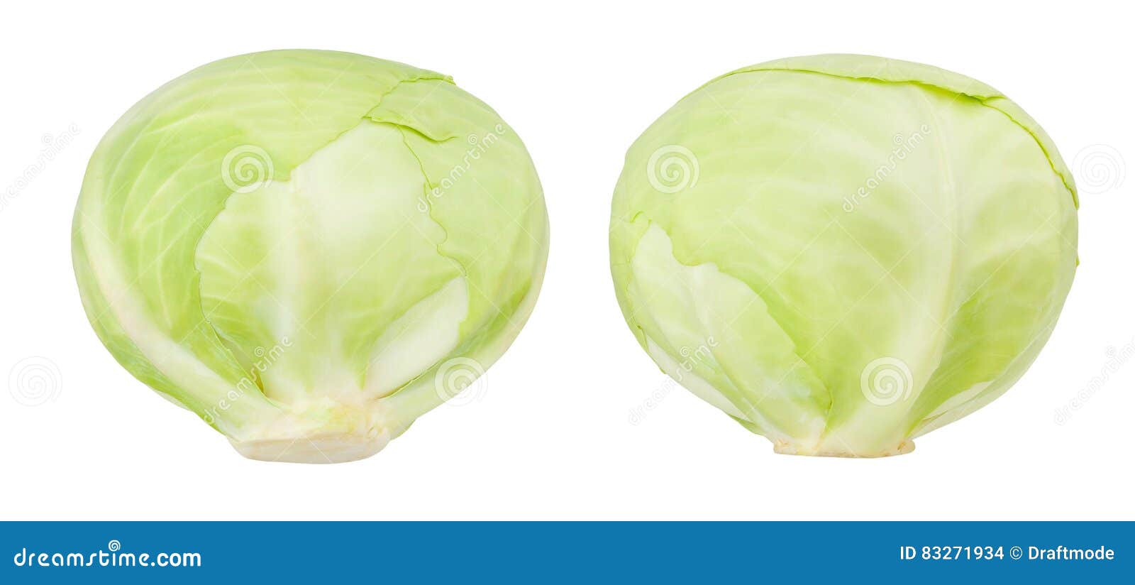 White cabbage stock photo. Image of gourmet, side, white - 83271934