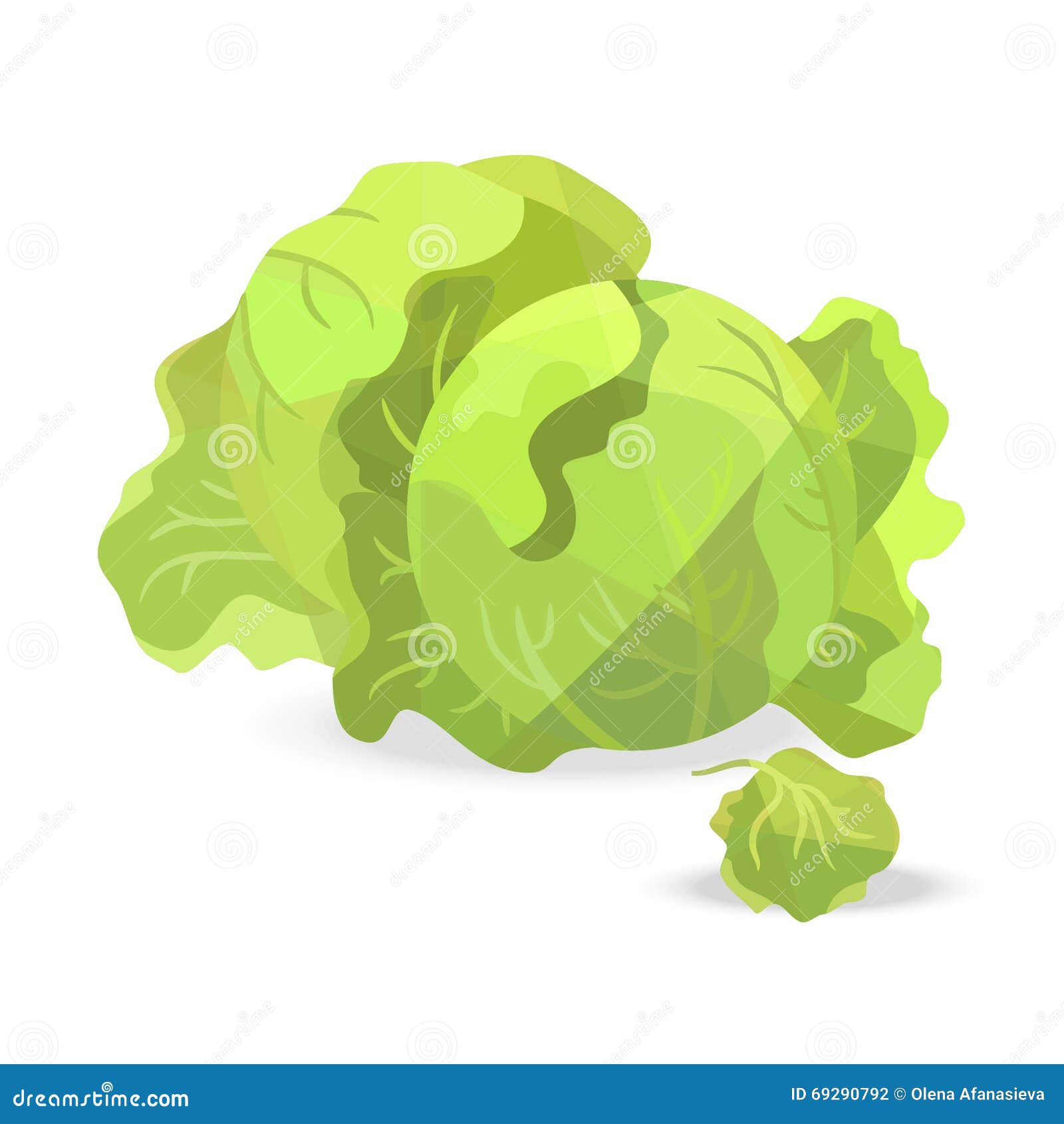 White Cabbage in Origami Style Stock Vector - Illustration of shadow ...