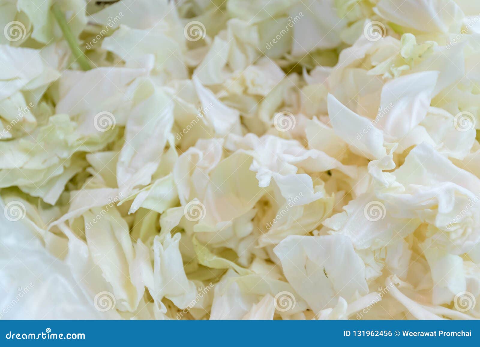 White Cabbage in Plastic Bag Stock Photo - Image of close, nutrition ...