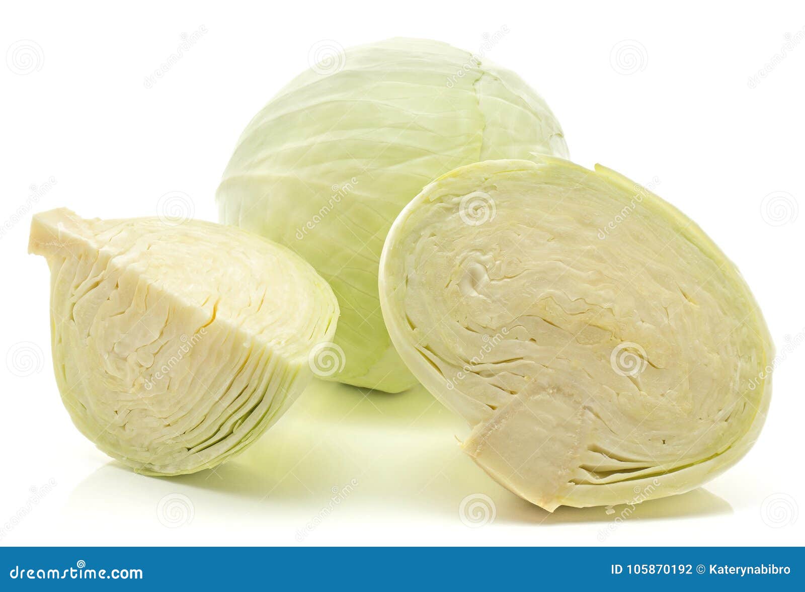 White cabbage on white stock photo. Image of caboge - 105870192