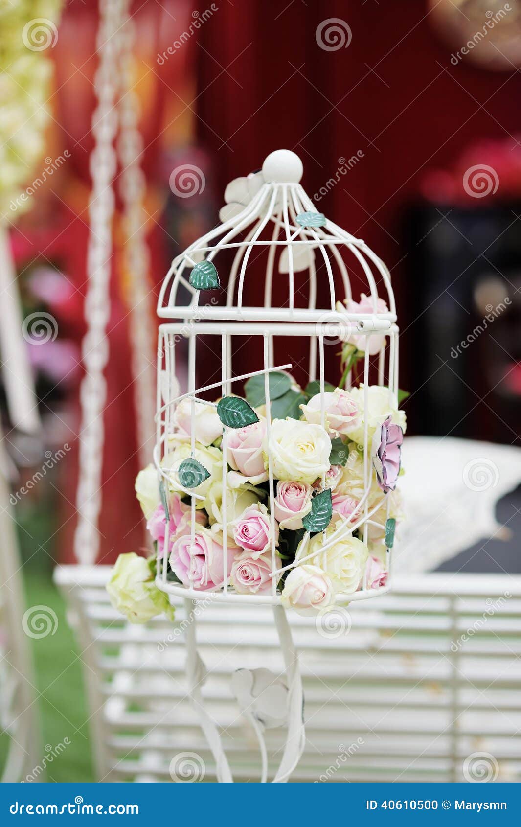 White Cage with Natural Roses As Decoration Stock Photo - Image of coop ...