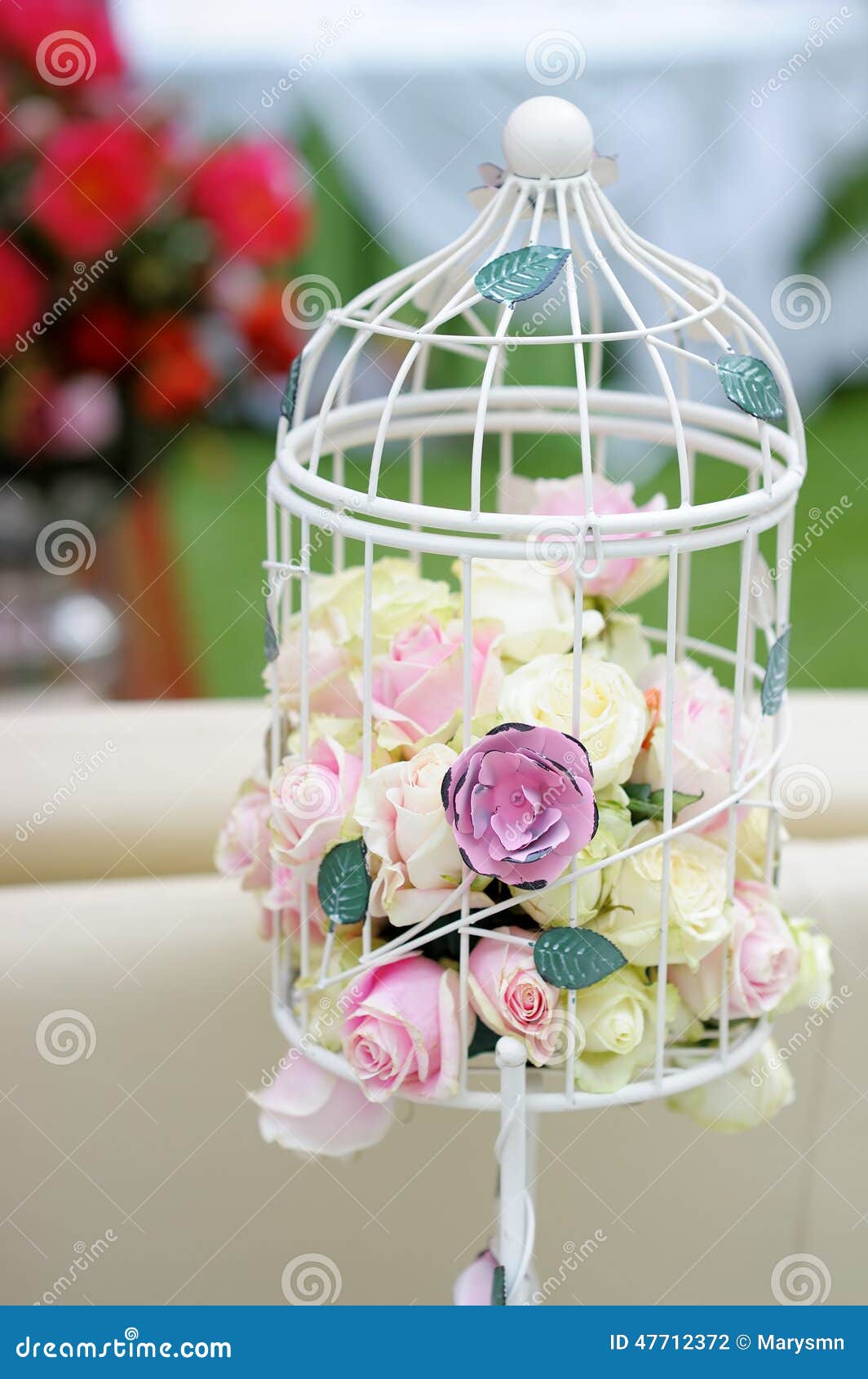 White Cage with Natural Roses Stock Photo - Image of flowers, floral ...