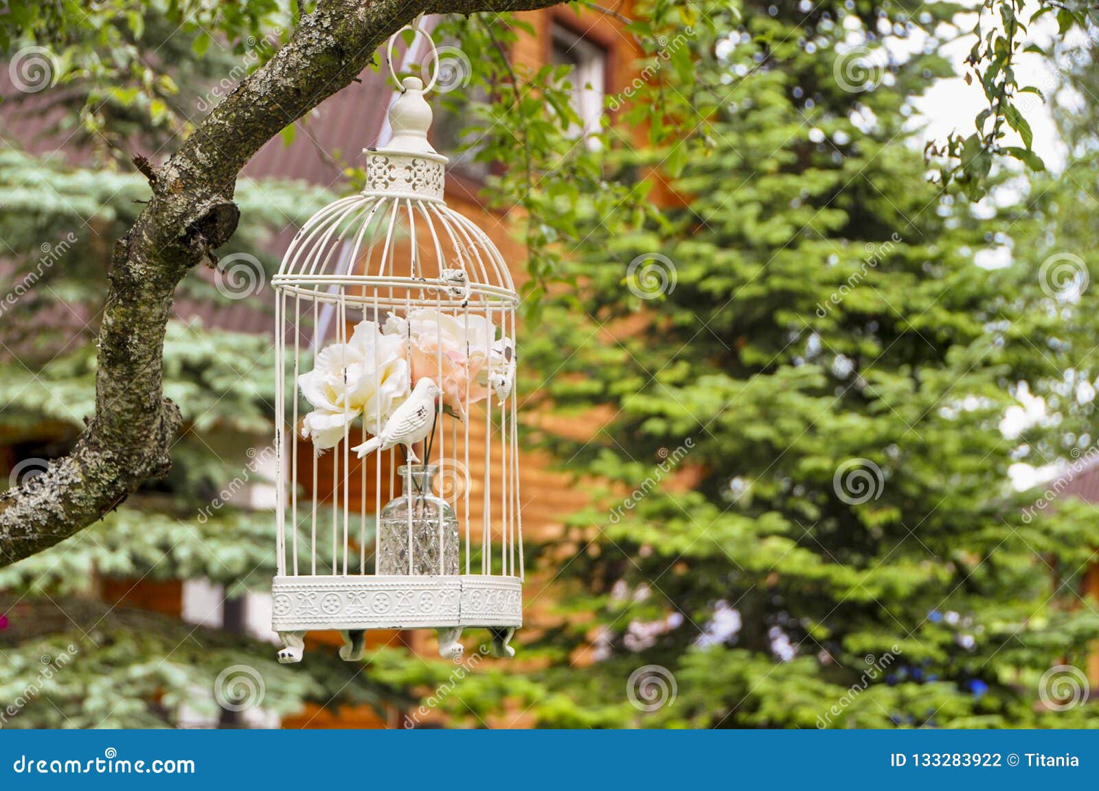 White cage stock photo. Image of nature, flowers, branches - 133283922