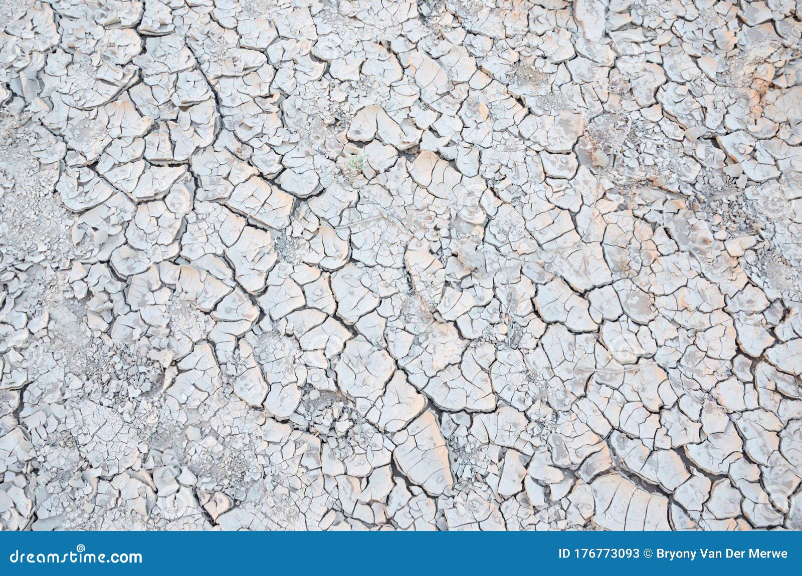 Caked Mud in the Fish River Canyon Stock Image - Image of leaf, dirtied ...