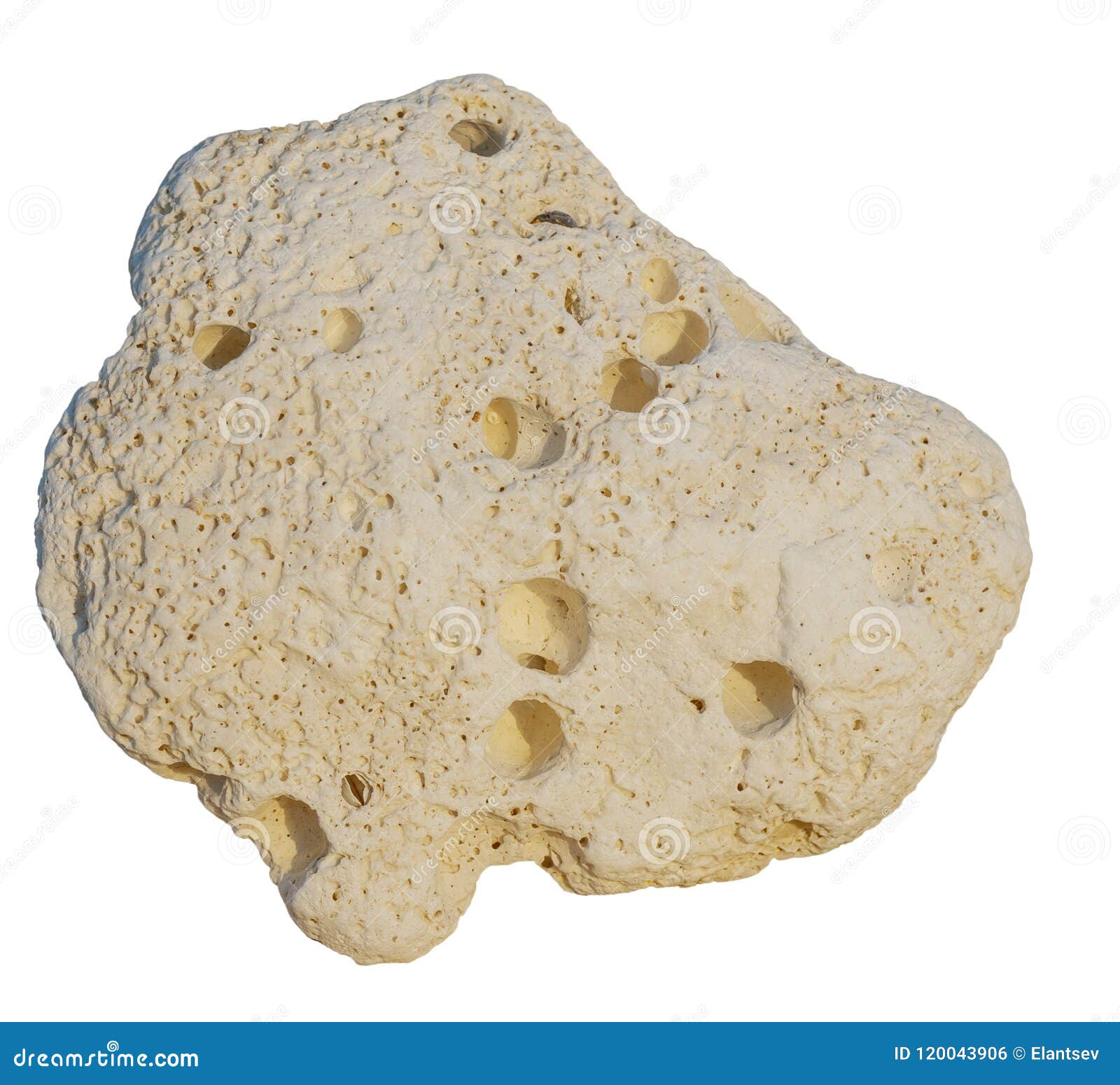 Old Calcareous Stone White Brown Square Rectangle Cement Part Of Old ...