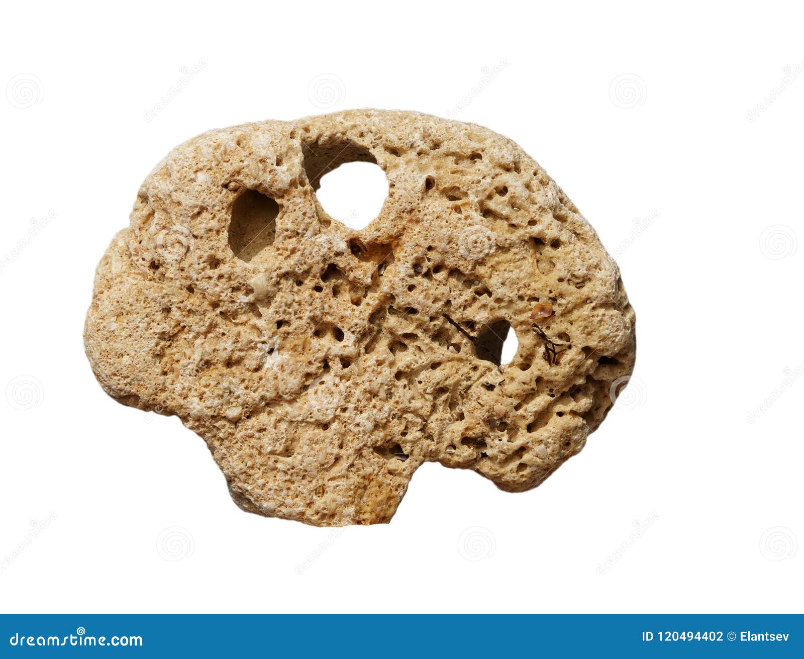 Old Calcareous Stone White Brown Square Rectangle Cement Part Of Old ...