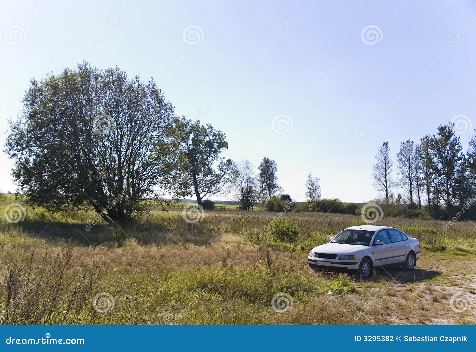 White car in the country stock photo. Image of white, trees - 3295382