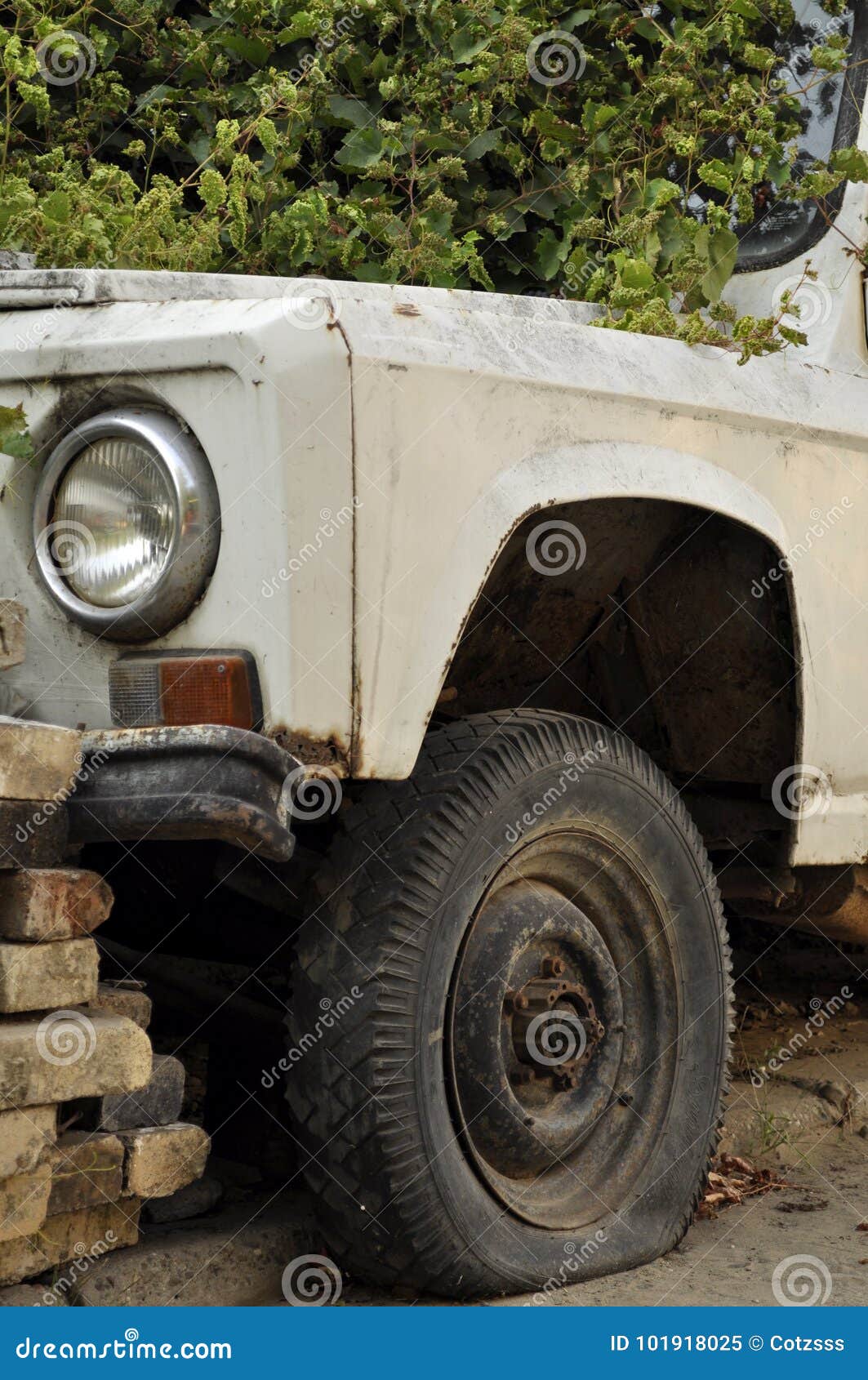 White Car Covered by Twigs and Leaves and Bricks Stock Image - Image of ...