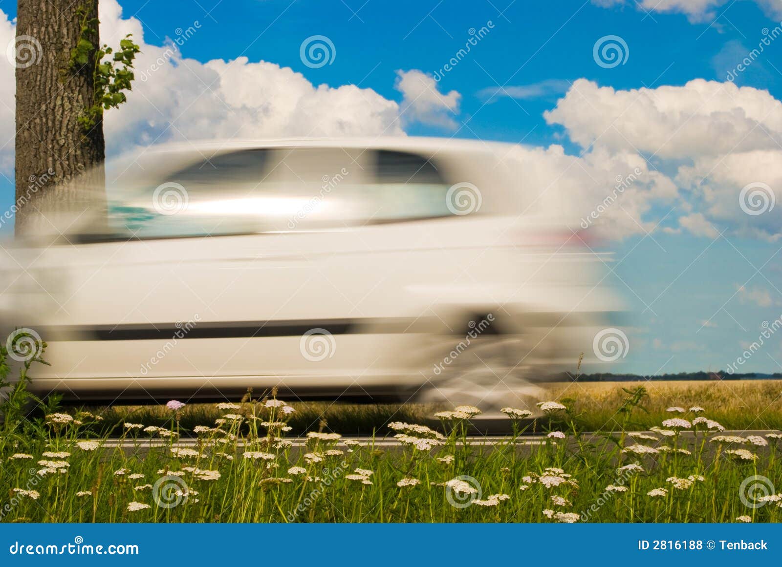 White car driving by stock photo. Image of cereal, motion - 2816188