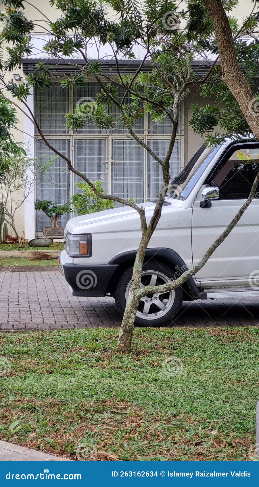 White Car Parked Next To a Tree Stock Photo - Image of automotive ...