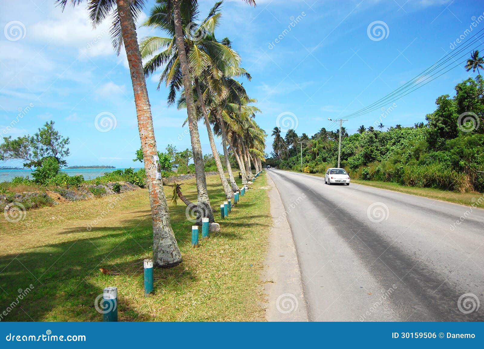 White Car at Road with Palms Stock Photo - Image of tonga, south: 30159506