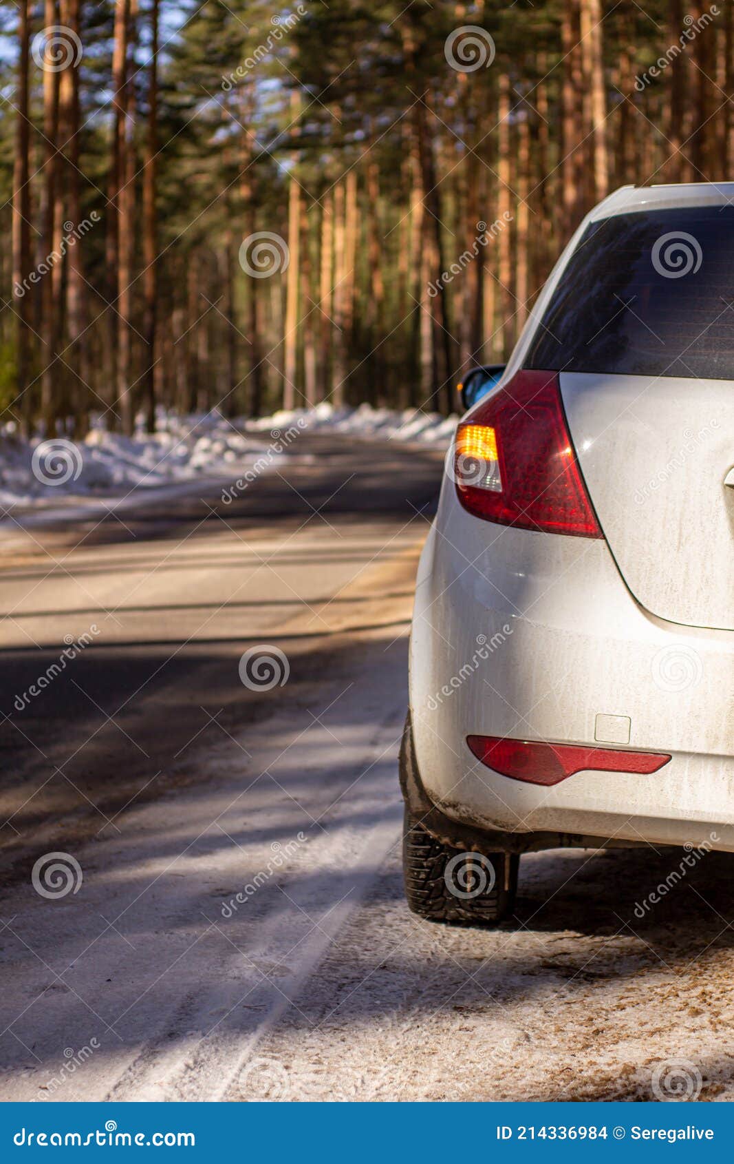A White Car on a Winter Forest Road Cleared of Snow. Side View Stock ...