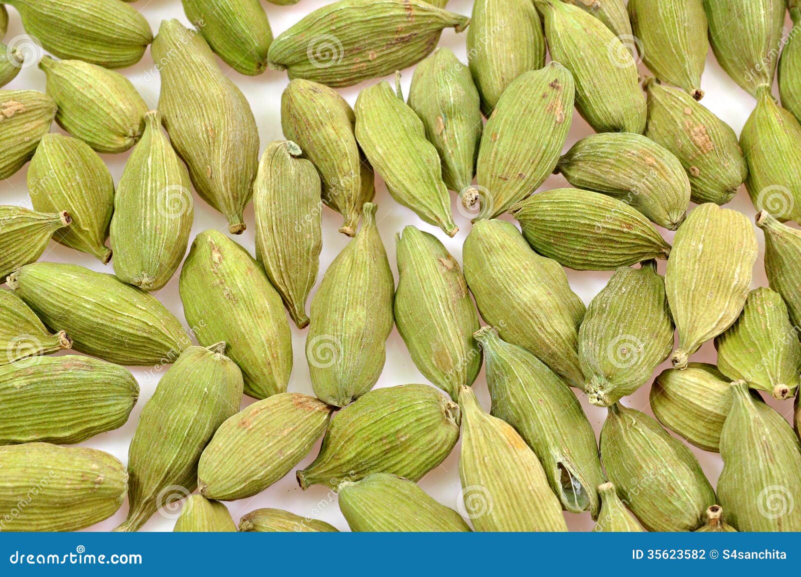 White cardamom stock photo. Image of buds, elaichi, food - 35623582